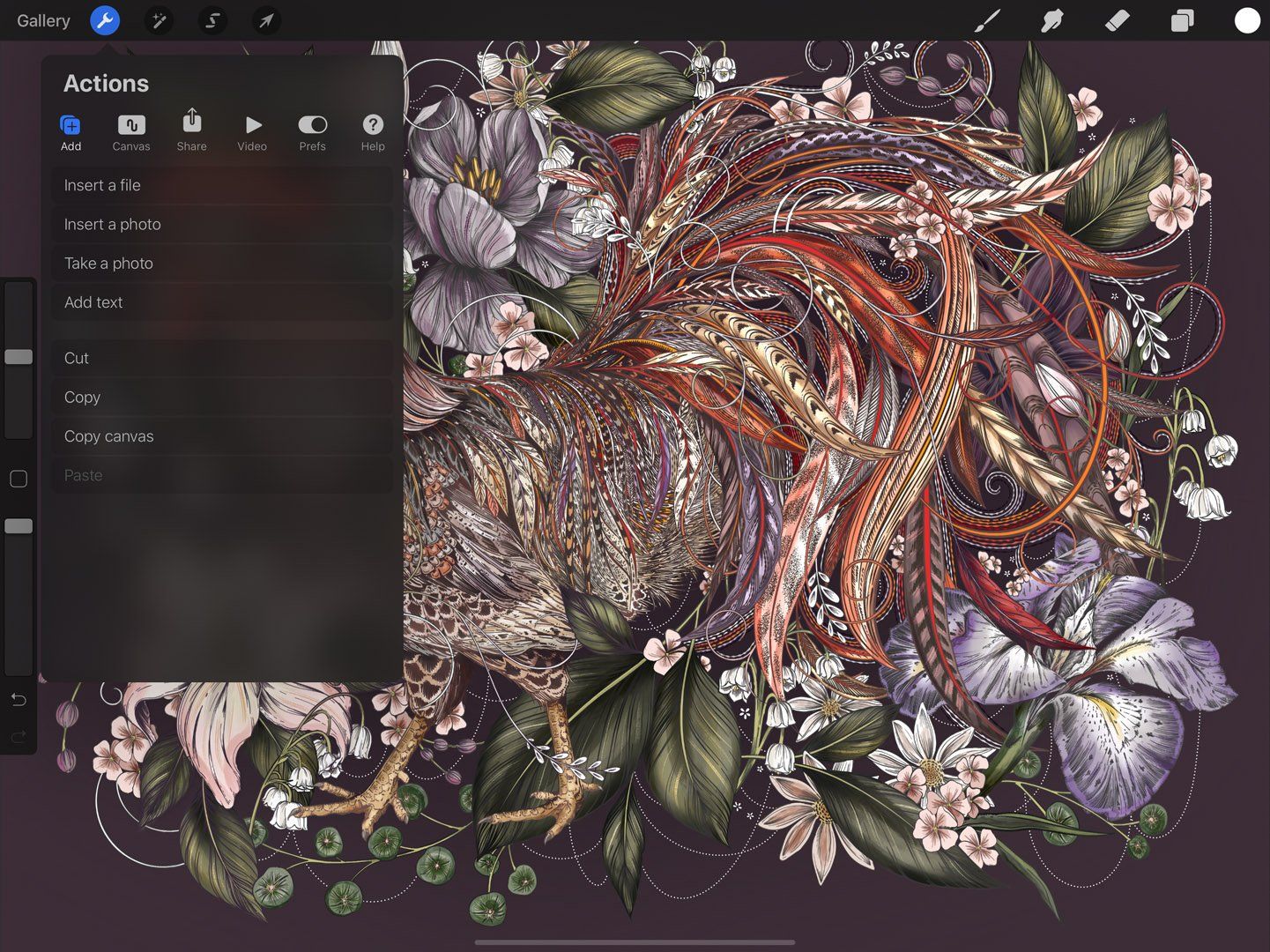 Interface and Basics — Procreate Handbook