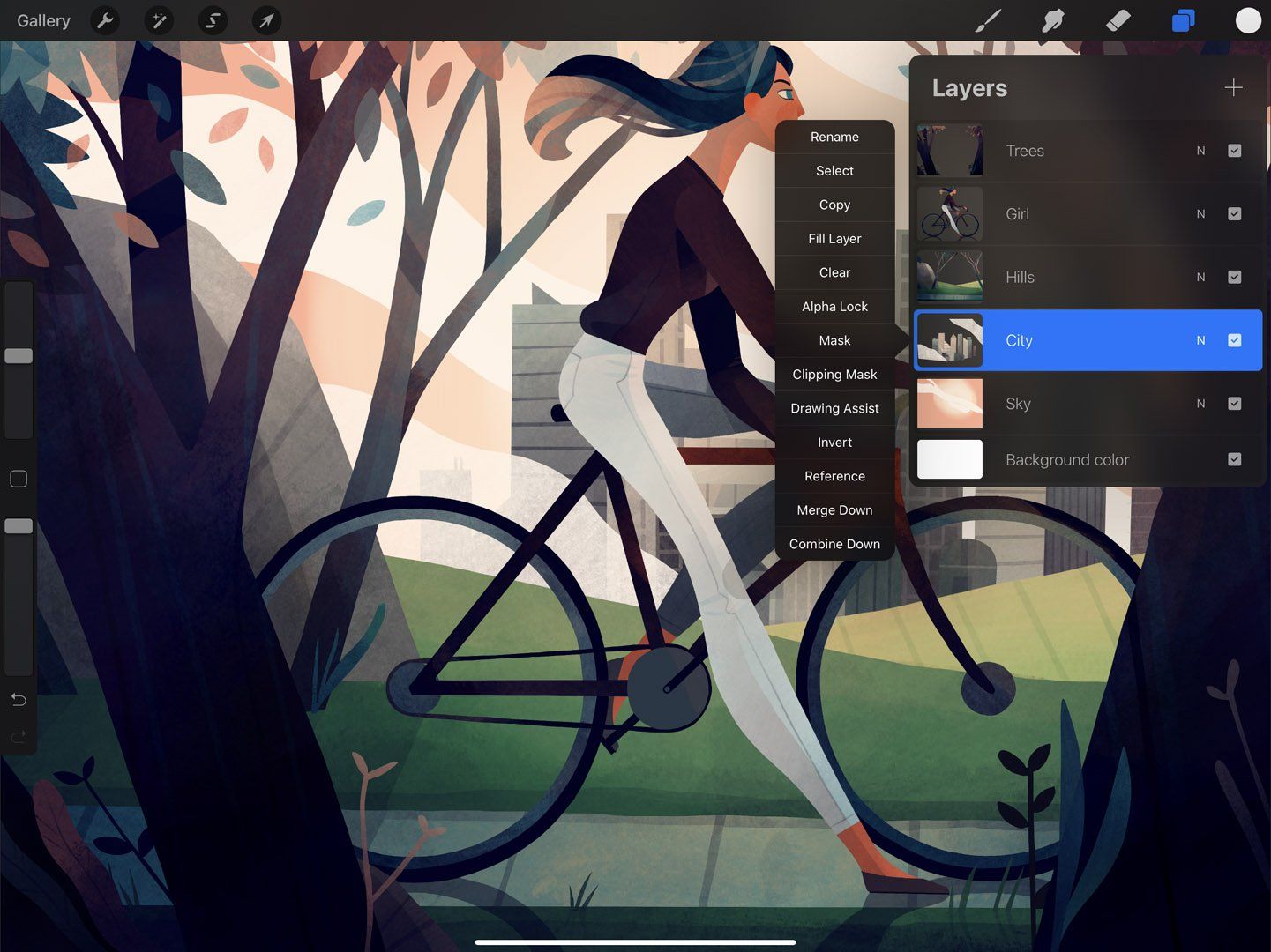 Options — Procreate Handbook