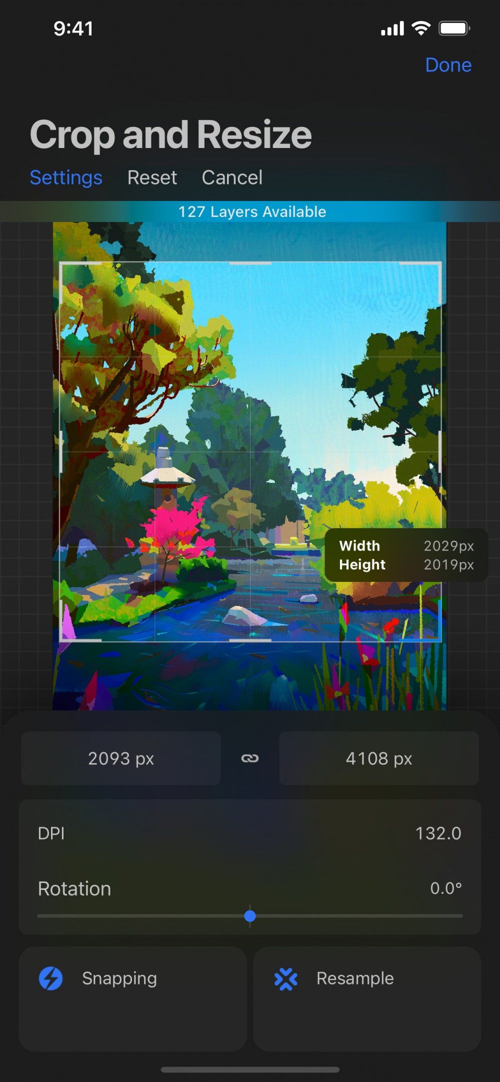 Canvas — Procreate Pocket Handbook