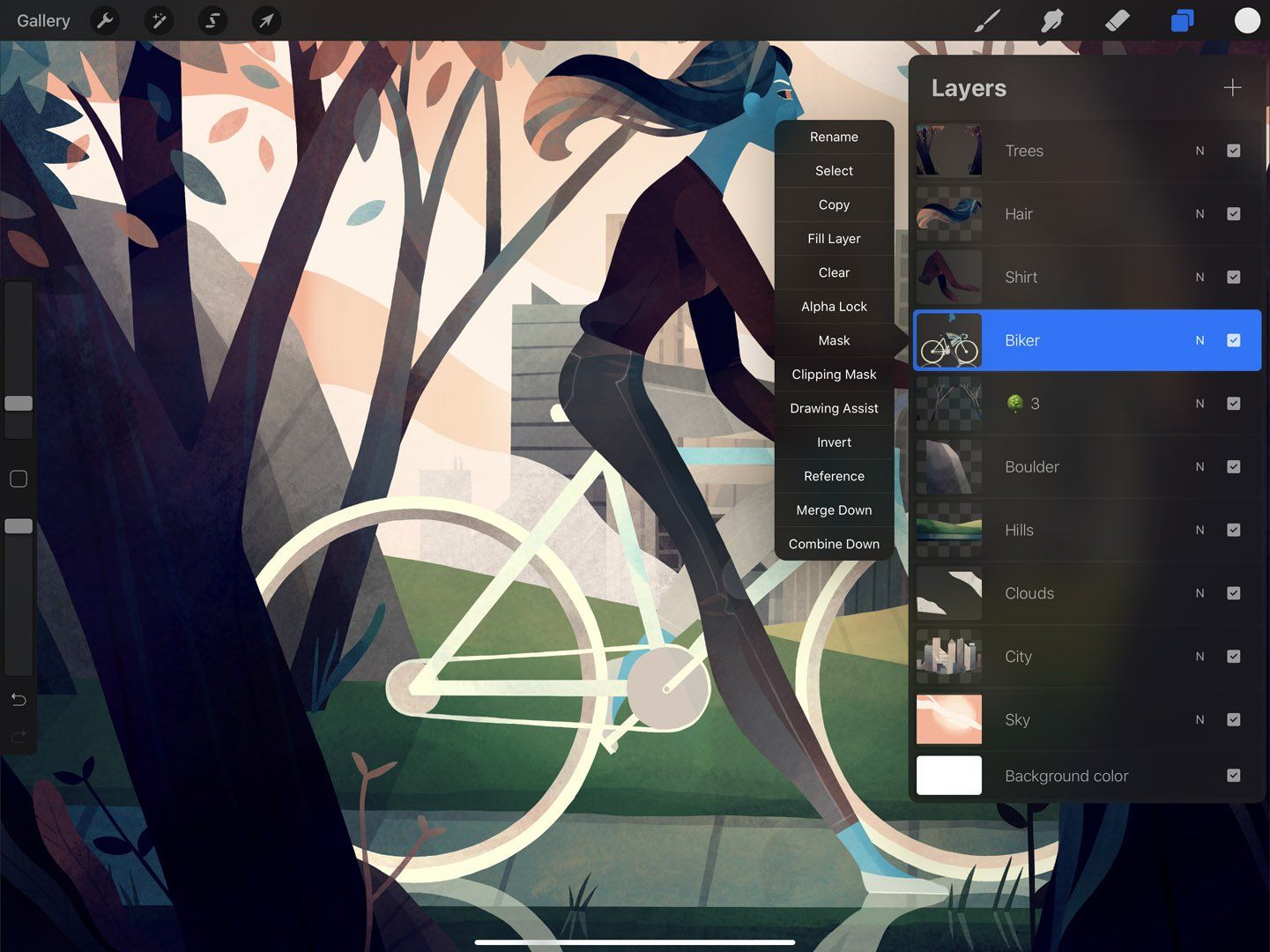 Options — Procreate Handbook