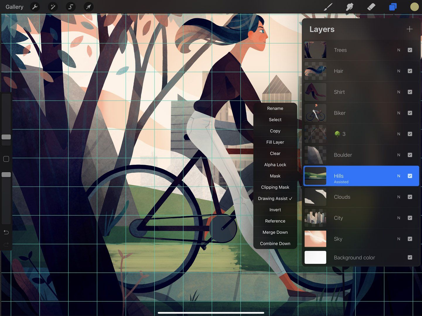 Options — Procreate Handbook