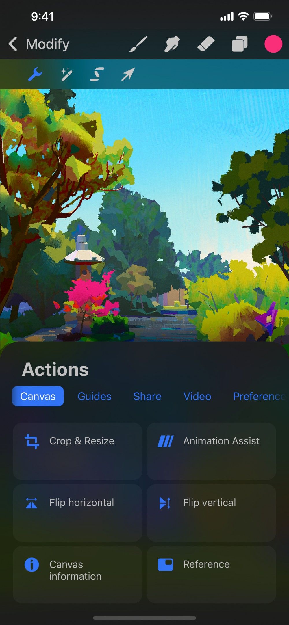 Canvas — Procreate Pocket Handbook