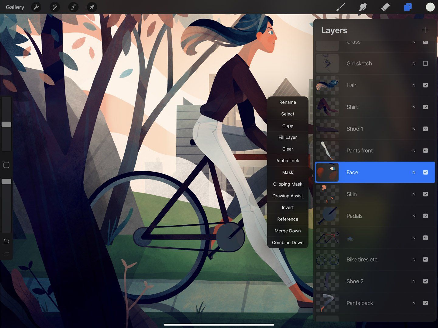 Options — Procreate Handbook