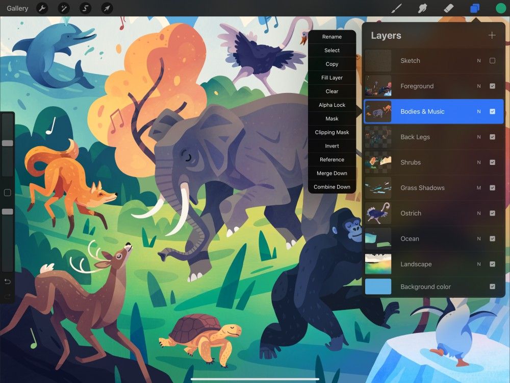 Options — Procreate Handbook