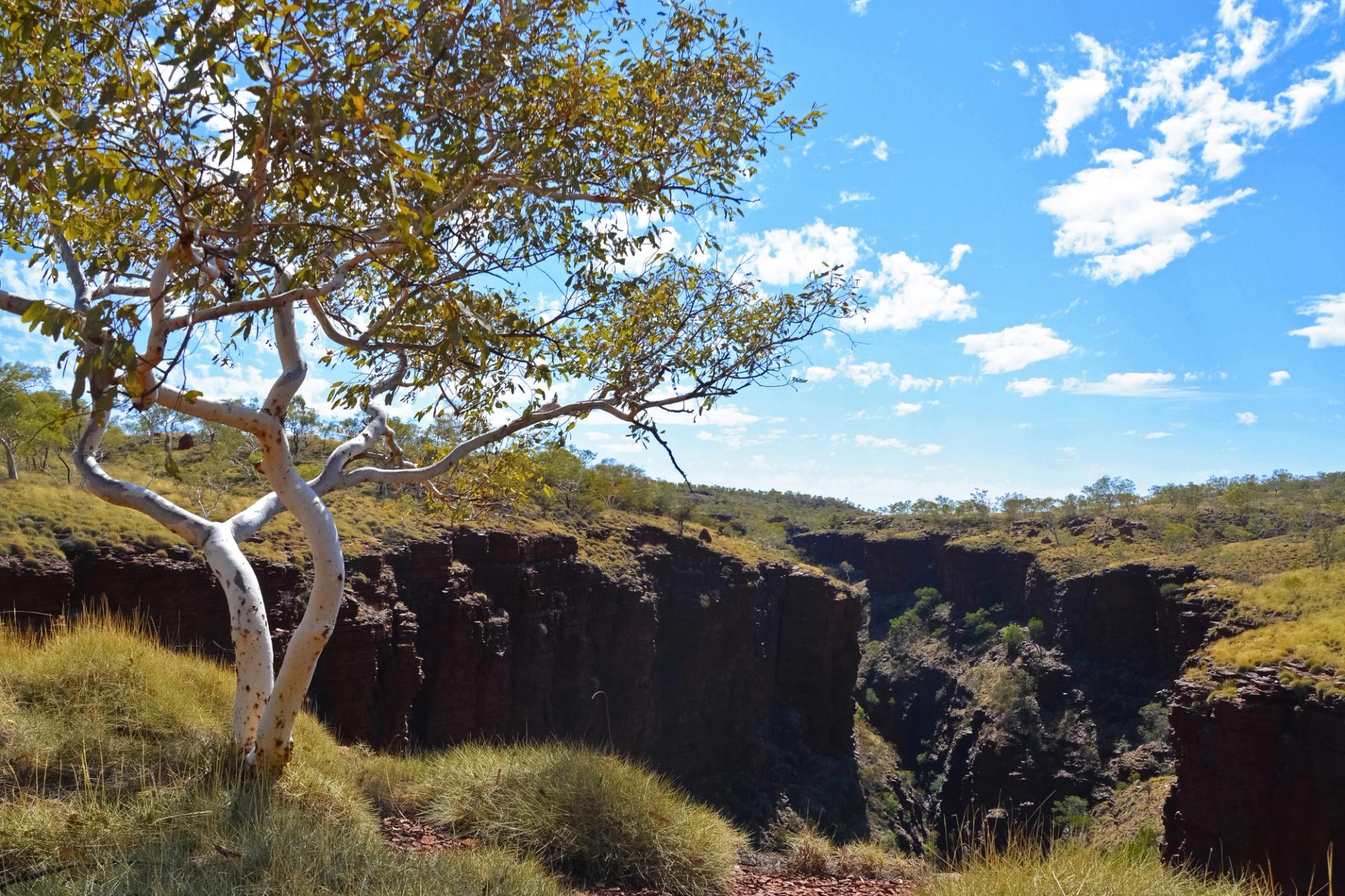 Mud Australia | Our Sustainability Mission