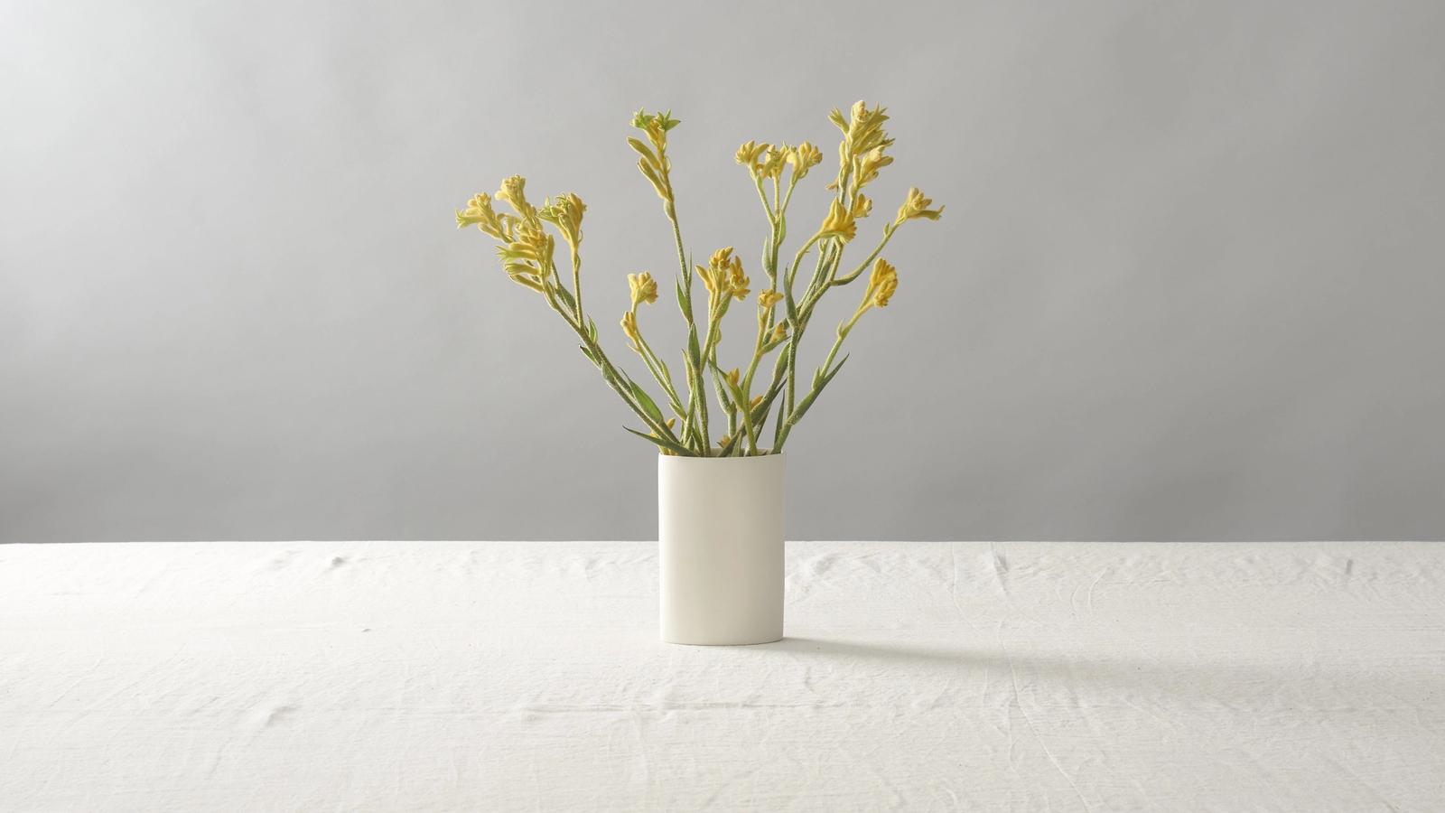 Vase Oval | Small Vase | Mud Australia