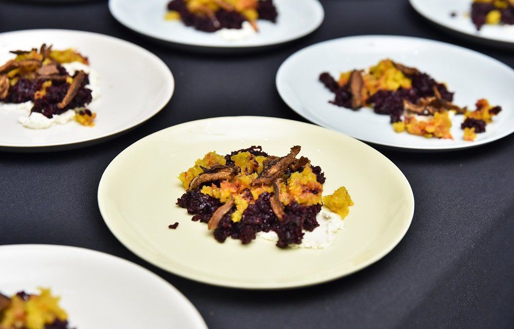 Mud Australia News | Mud Celebrates 25 years