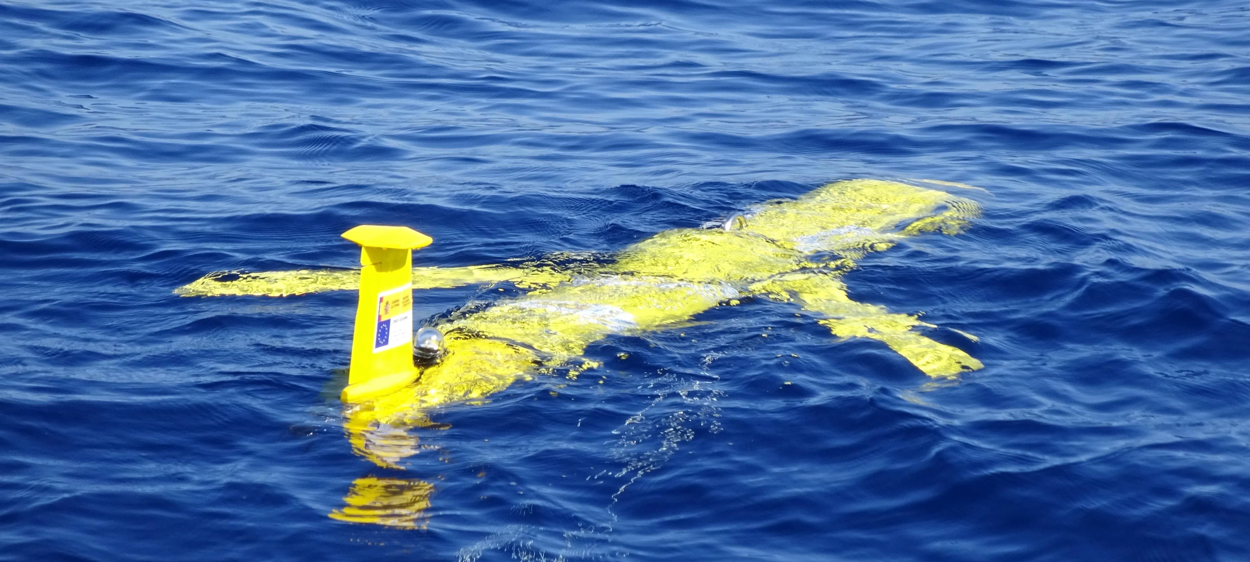 Technologies for Ocean Sensing | TechOceanS