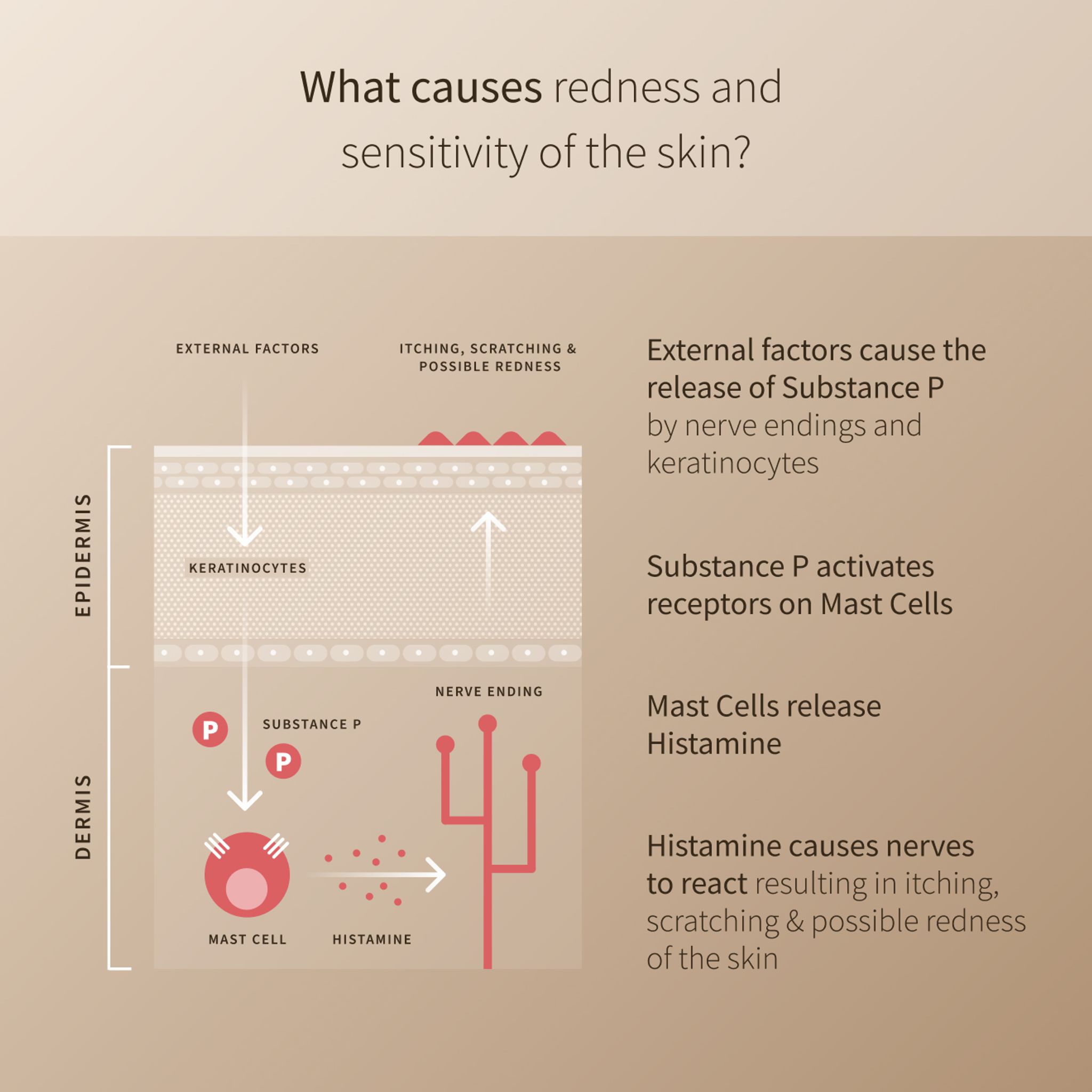 Why Skin Becomes Red, Sensitive & Itchy | Antipodes