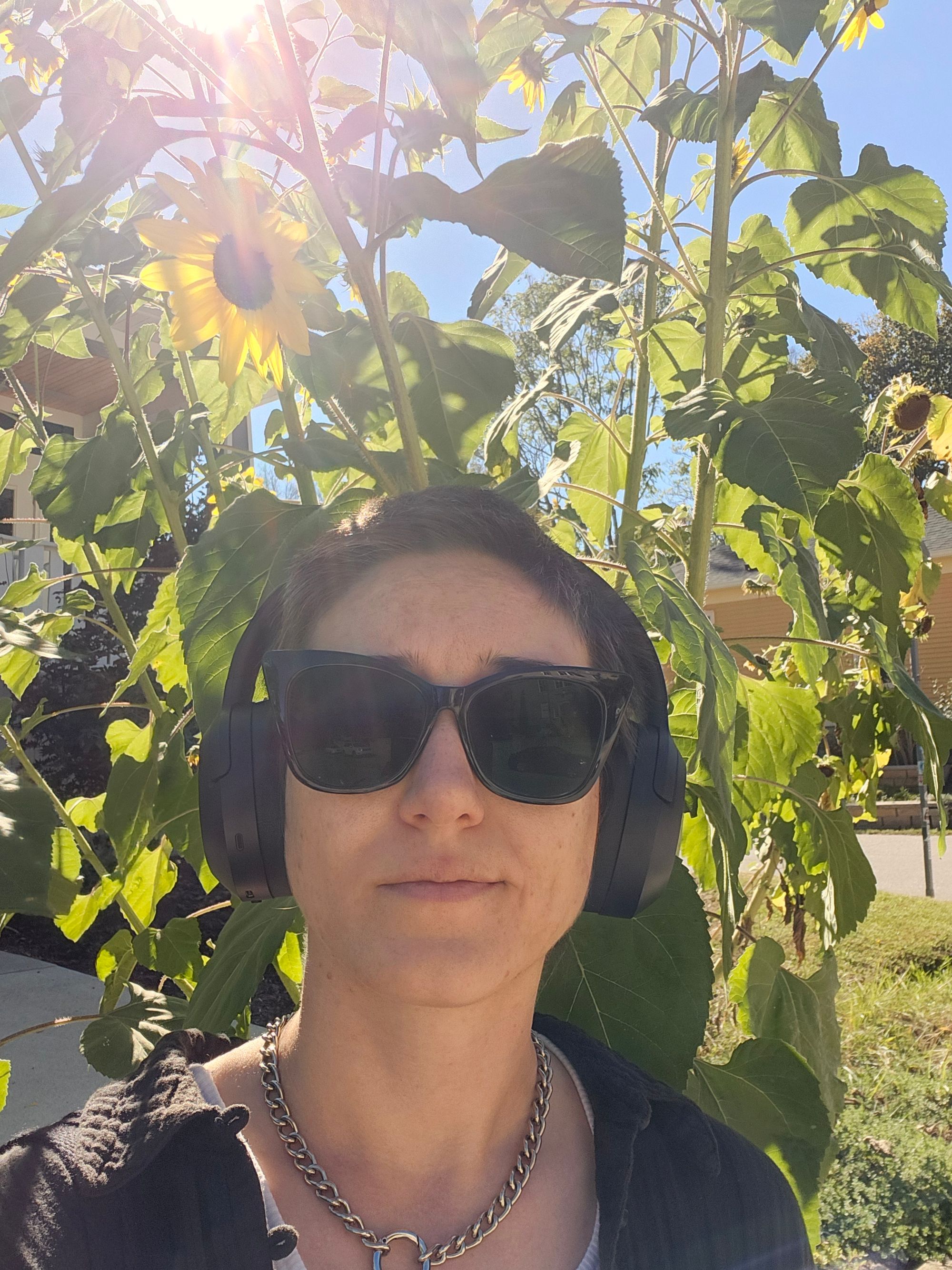 Mariah Gese | Shenandoah