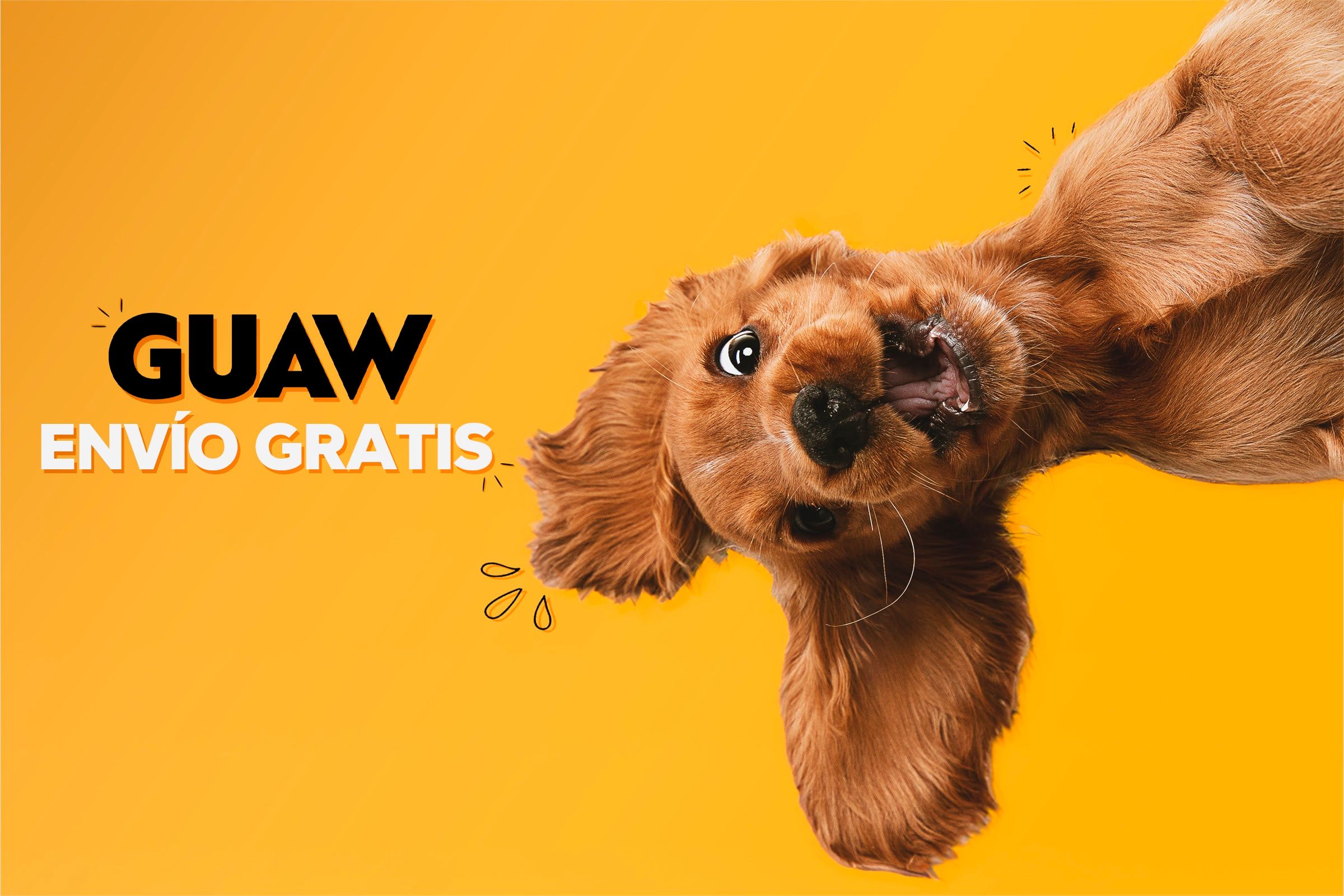 Pide Guaw a domicilio cerca de tu localidad | Pide en Just Eat