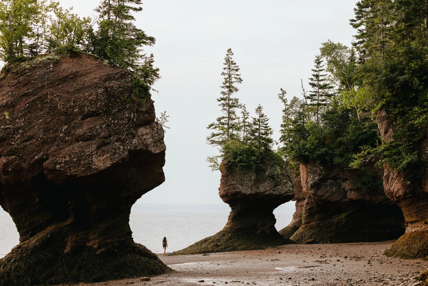 Discovering Mi'kma'ki: Indigenous Culture, Land, and Tradition in New ...