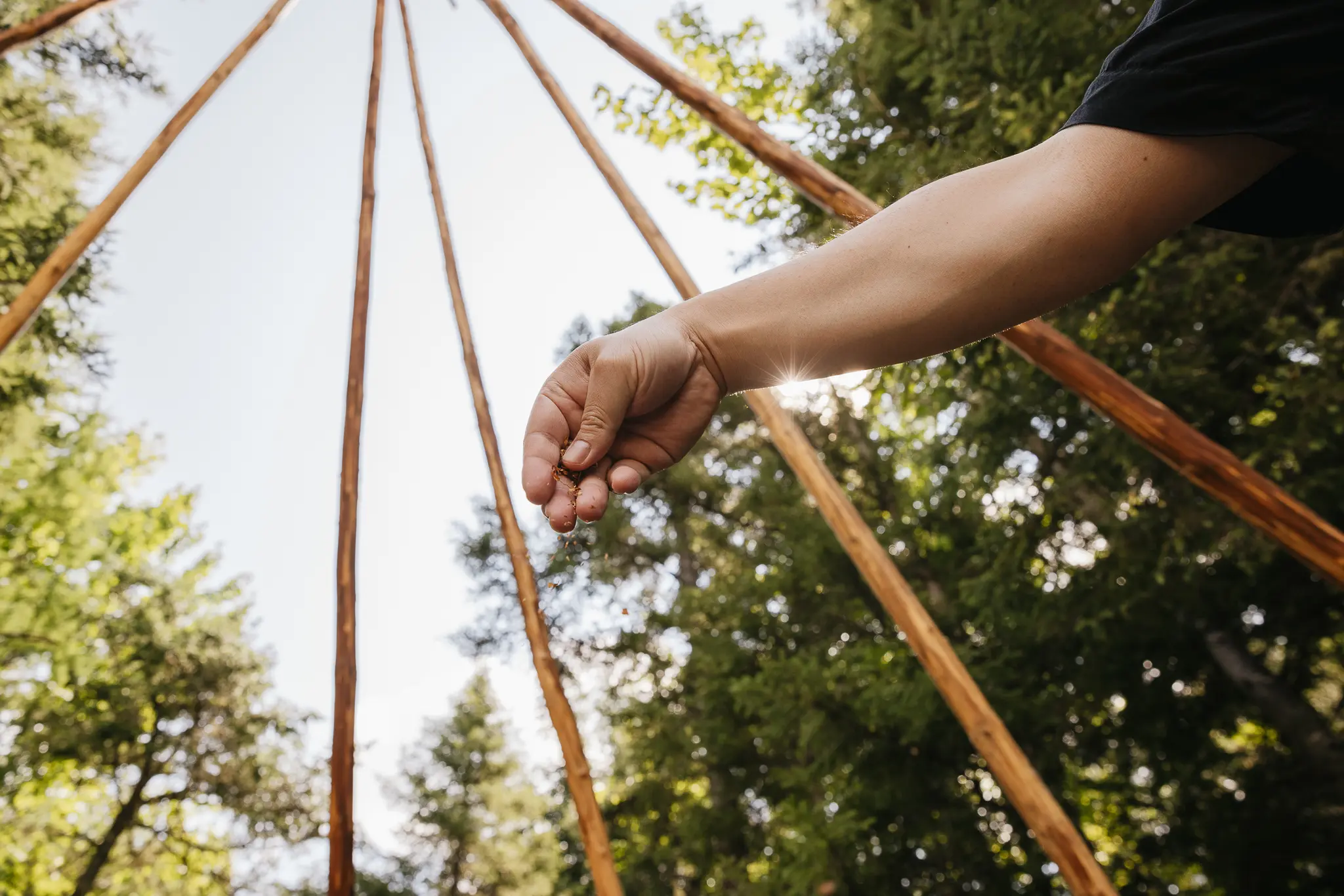 Discovering Mi'kma'ki: Indigenous Culture, Land, and Tradition in New ...