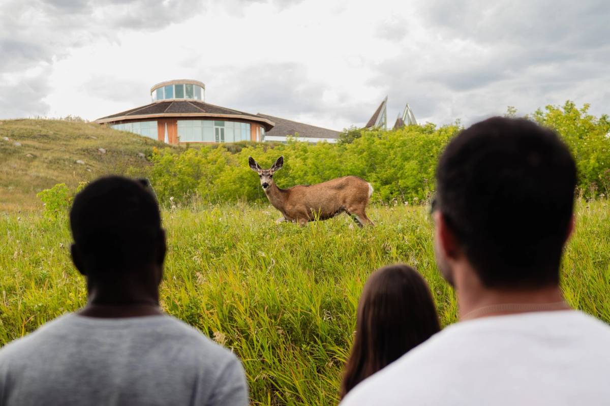 48 Hours in Saskatoon: An Insider's Guide to the Prairie Gem | Go Canada