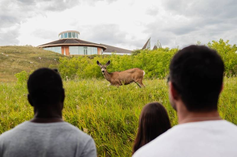 48 Hours in Saskatoon: An Insider's Guide to the Prairie Gem | Go Canada