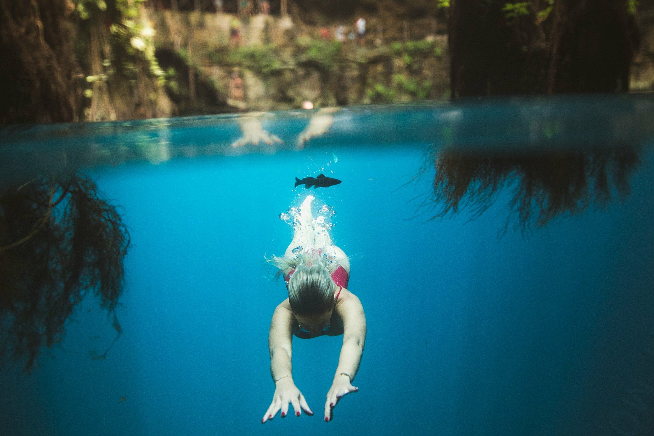 The Summer Photography Workshop with Alex Strohl - Free Segment | Moment