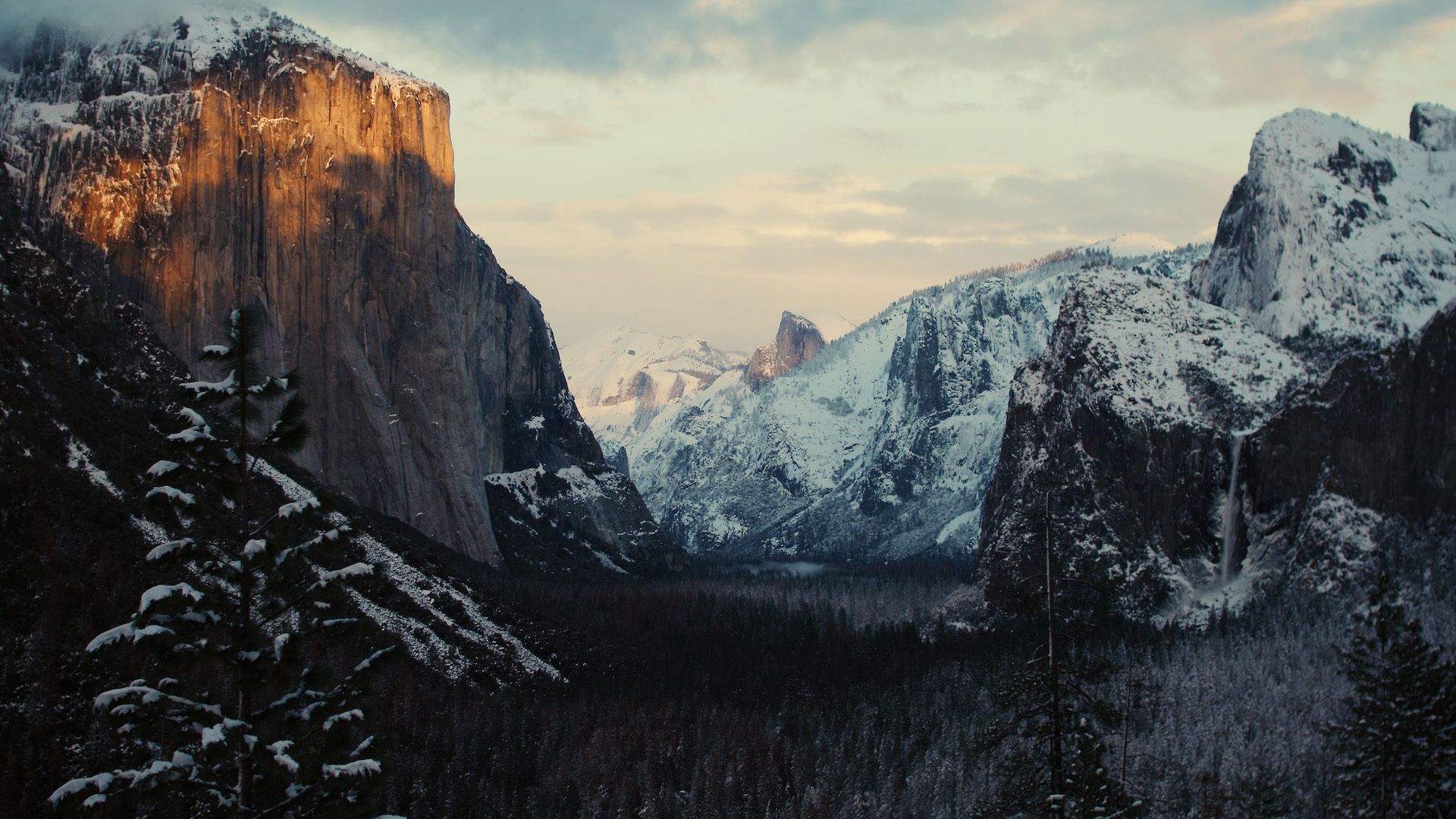 The Best LUTs & Presets By Pro Photographers and Filmmakers | Moment