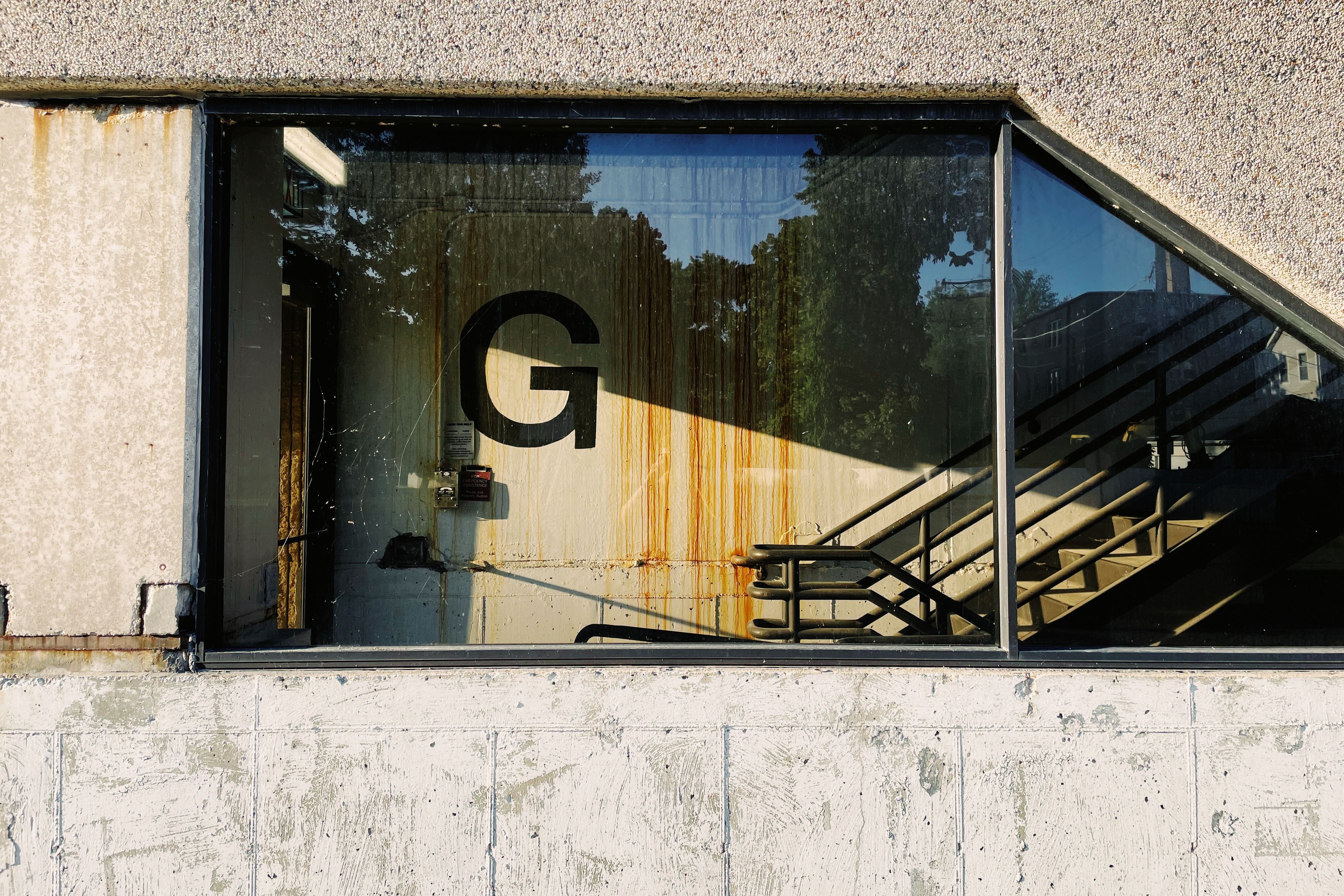 Film vs. iPhone | How to Edit Your Pictures Like Film Using VSCO | Moment