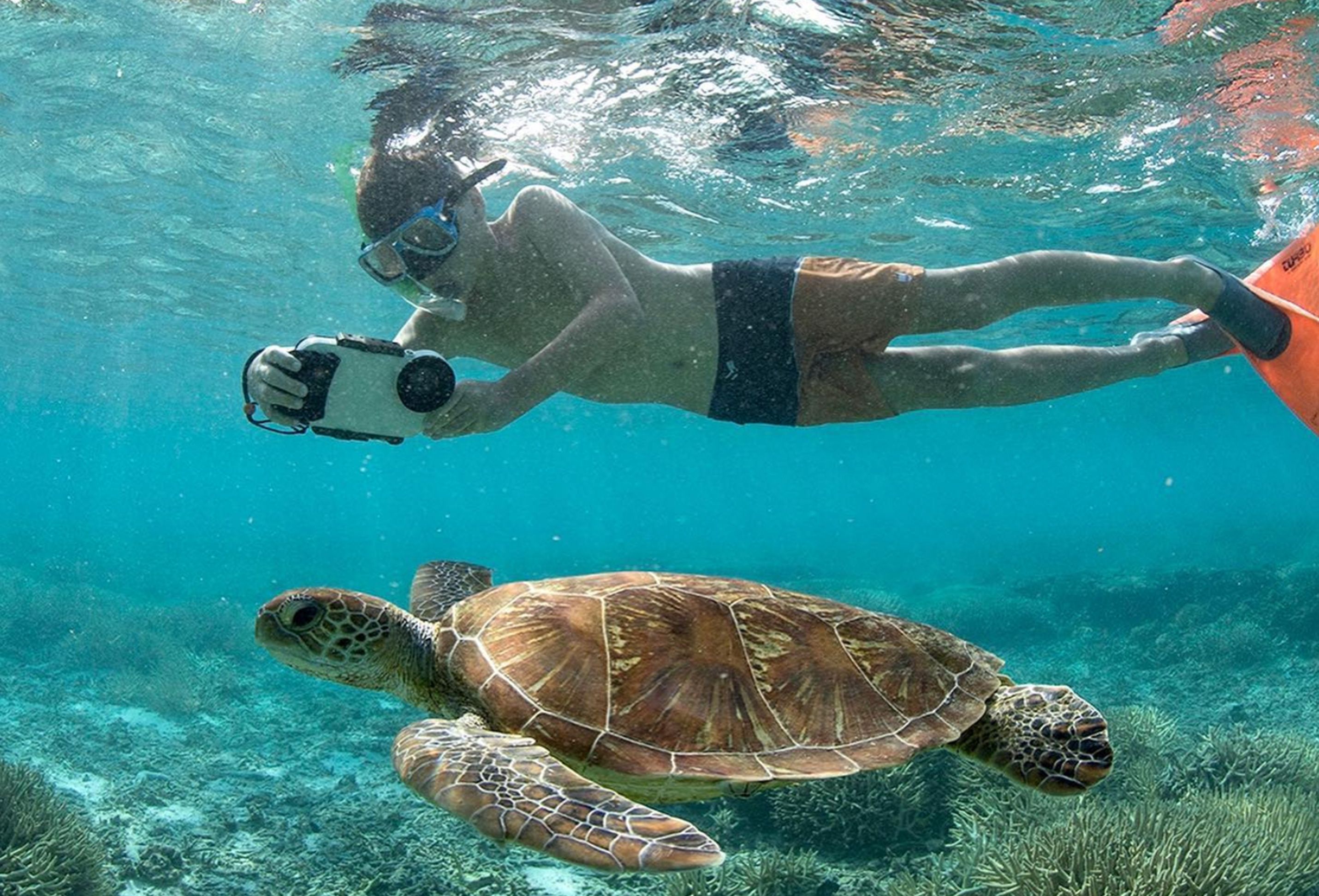 The Best Waterproof Camera Housings - Curated By Pros | Moment