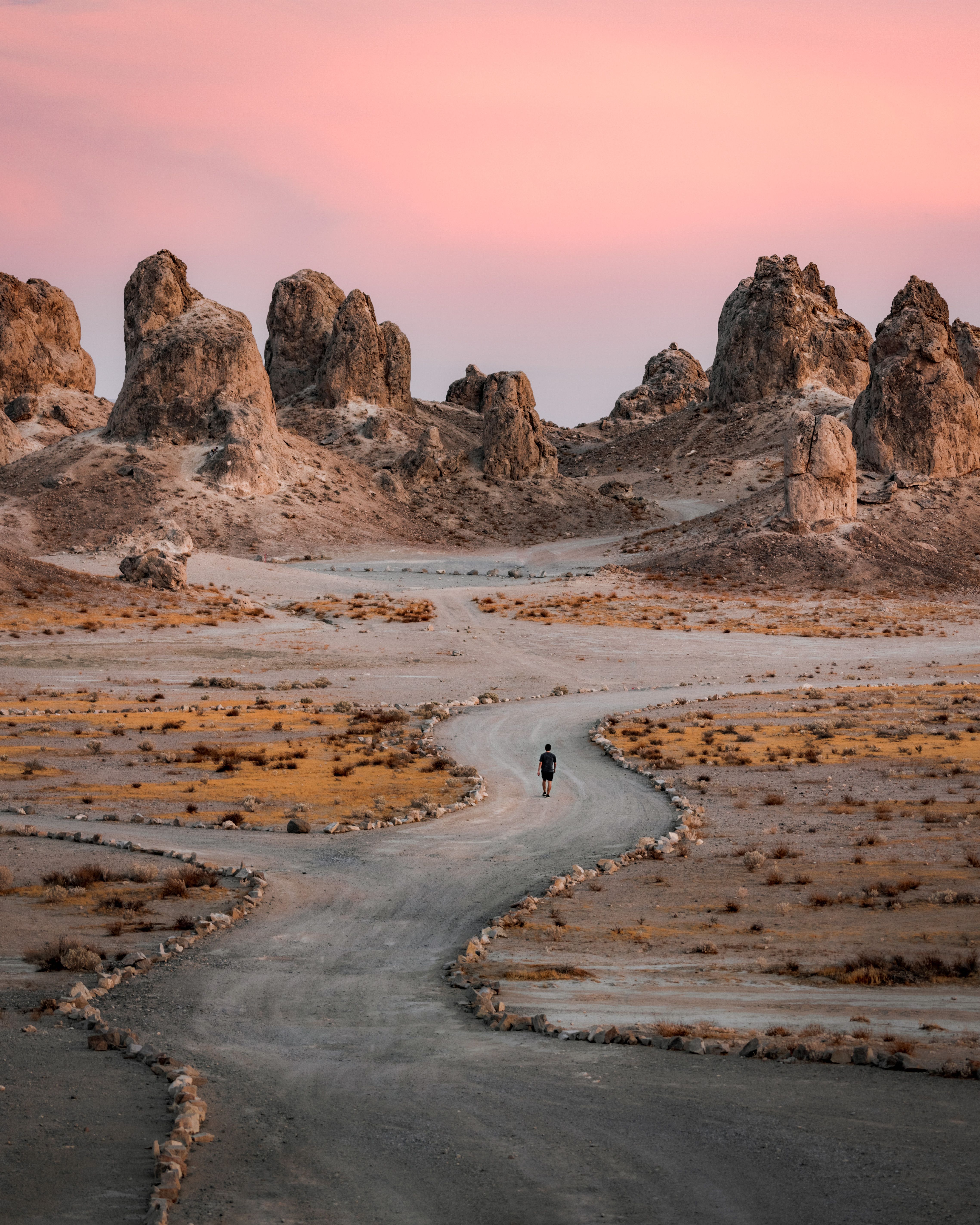 Why the Sony Alpha 1 Is the BEST Camera for Photographers | Moment