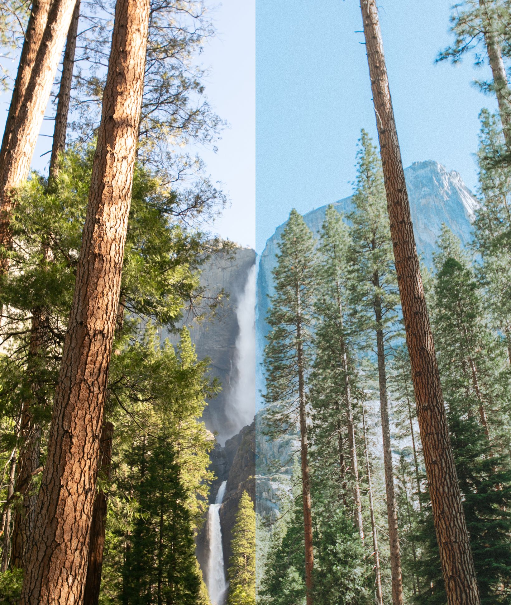 Sunny Pastel Lightroom Film Preset By Emilie Hofferber | Moment