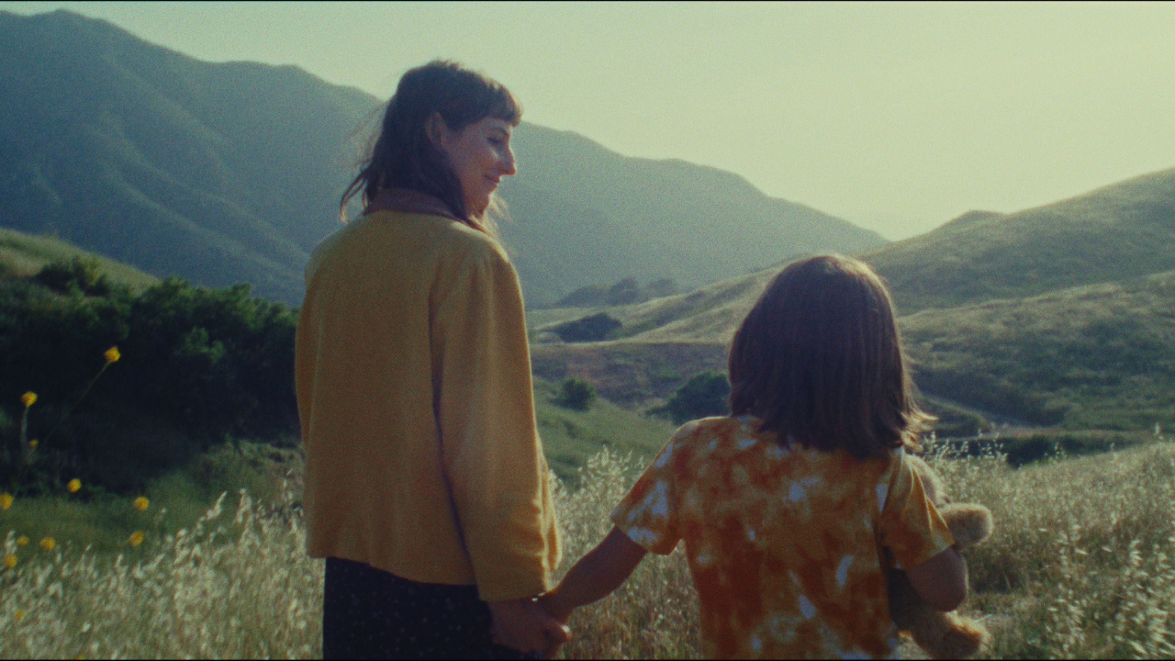 The Best Video LUTs From Pro Filmmakers | Moment