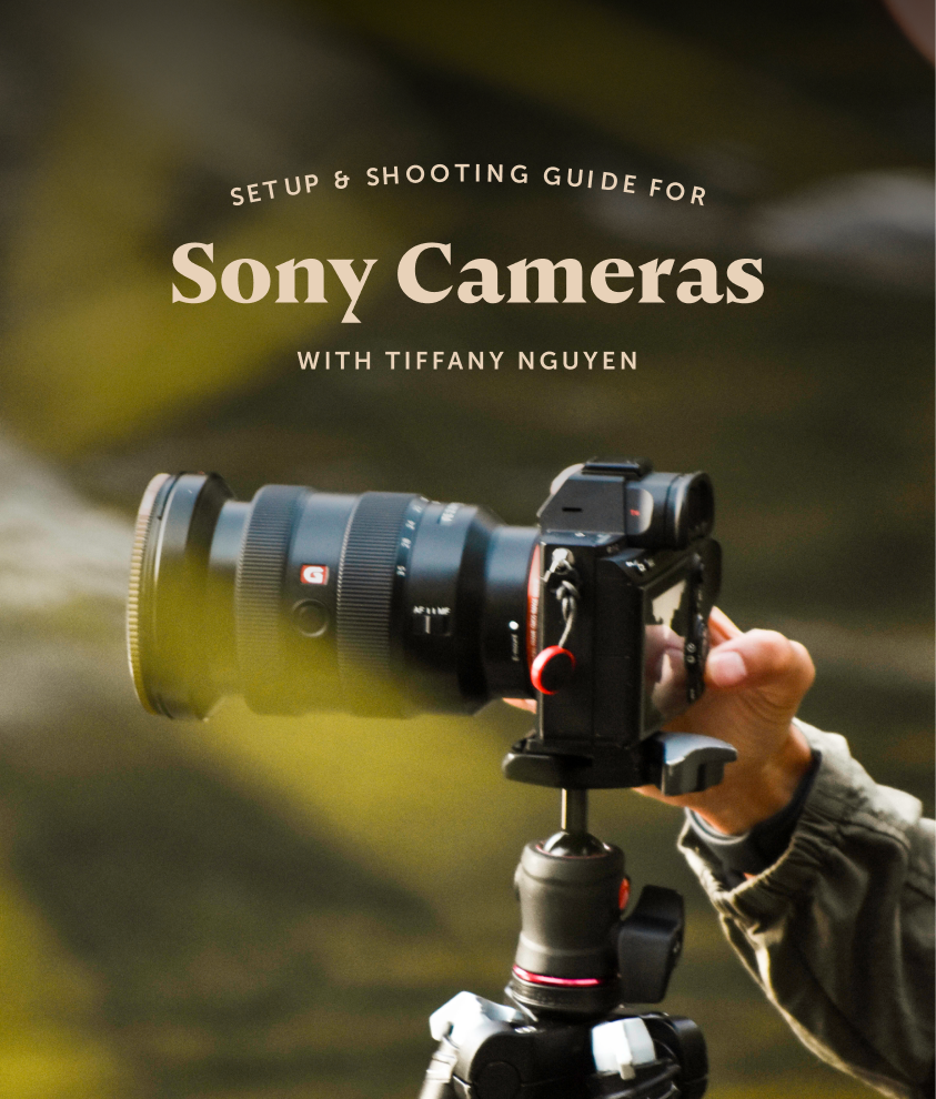 Sony Camera Set-Up and Shooting Guide | Moment