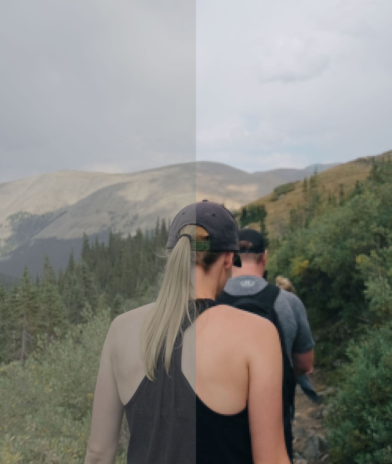 Fuji F-Log to Rec.709 + Creative LUT By LUT Co | Moment