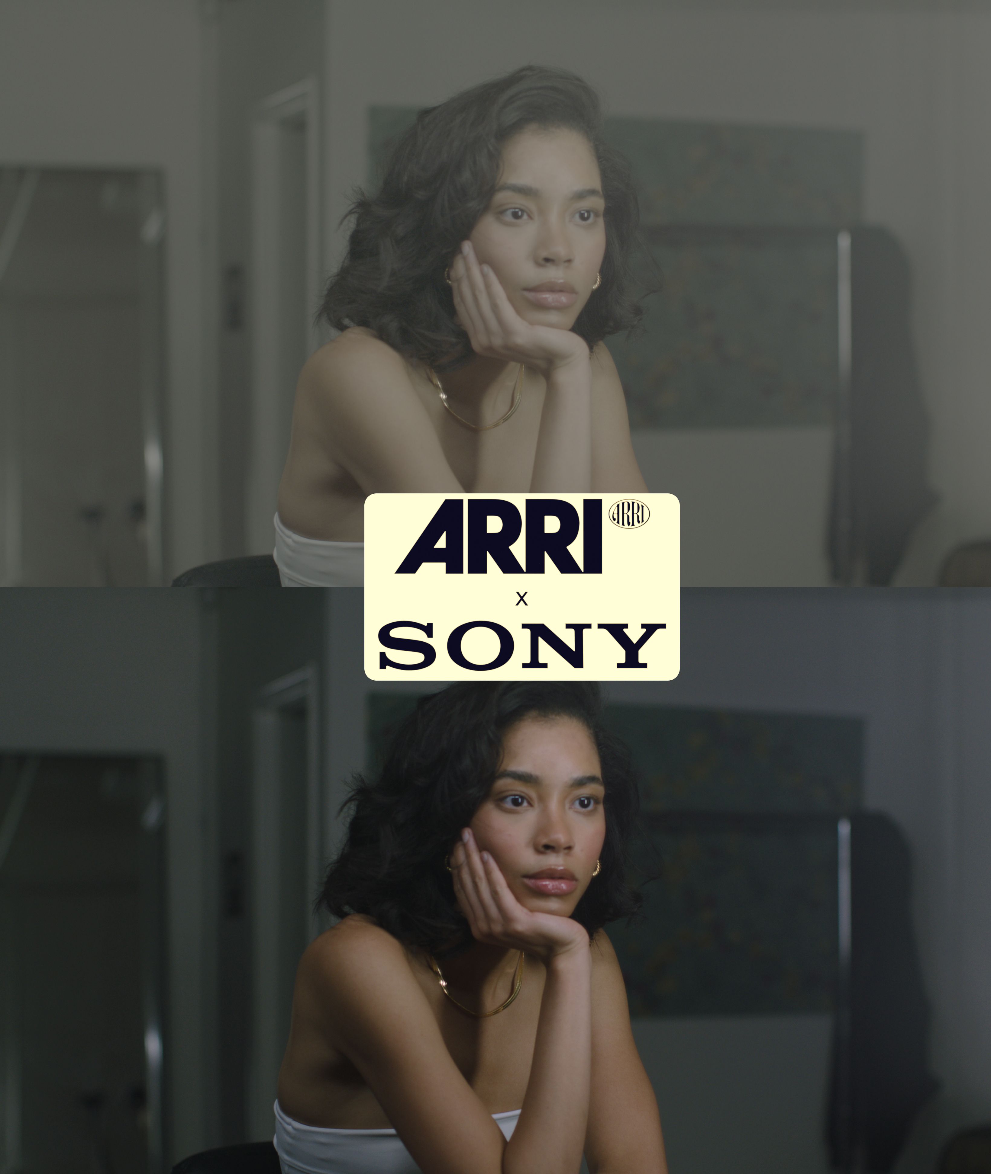Emulated Film Sony to Arri Alexa Conversion LUTs | Moment