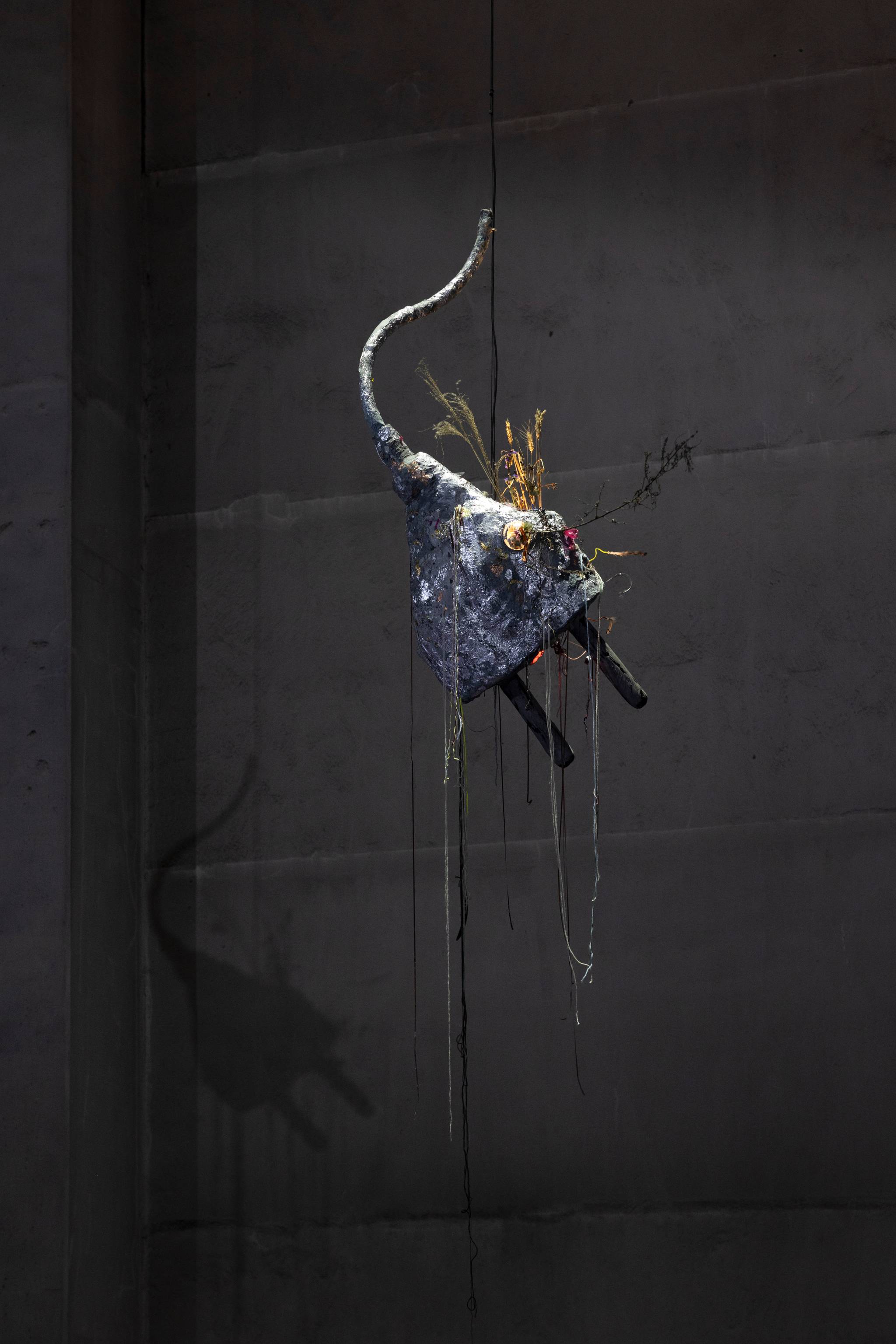 WE FELT A STAR DYING | LAS Art Foundation
