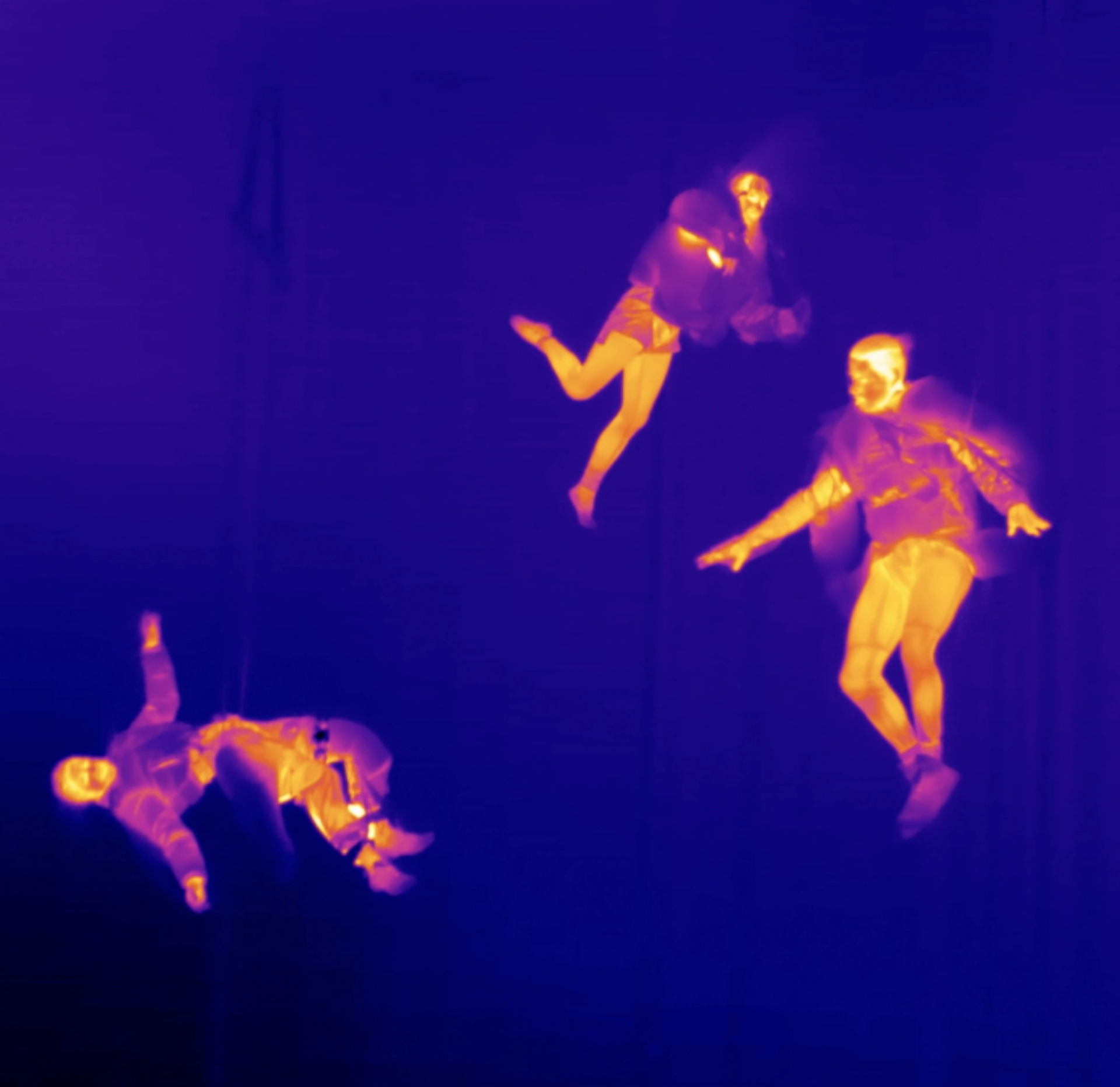 Digital Booklet: WE FELT A STAR DYING | LAS Art Foundation