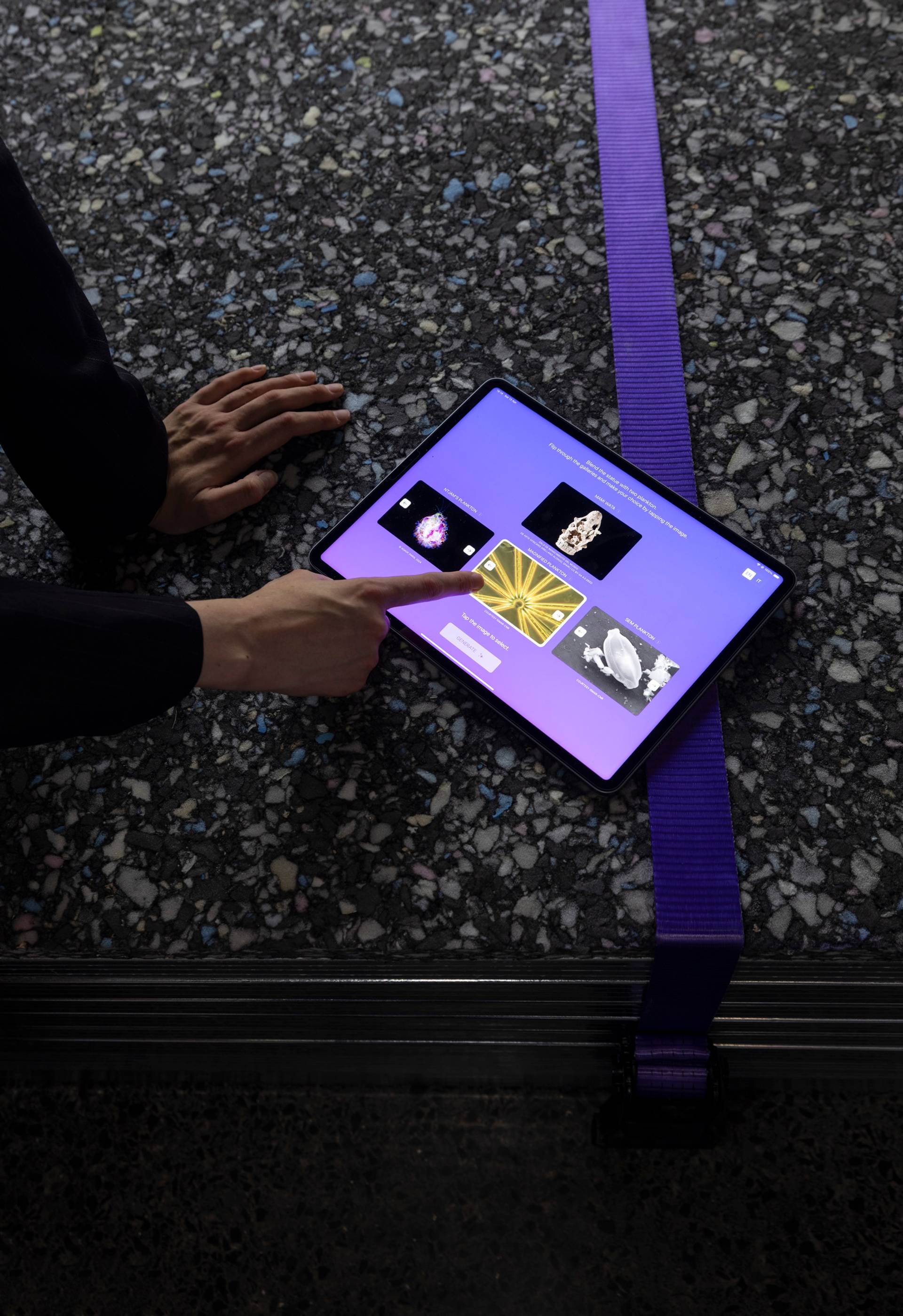 swell of spæc(i)es | LAS Art Foundation