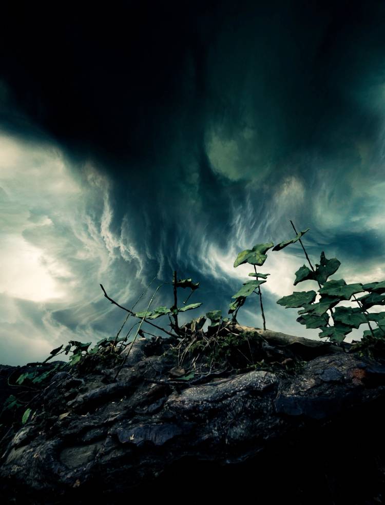 Berl-Berl | LAS Art Foundation