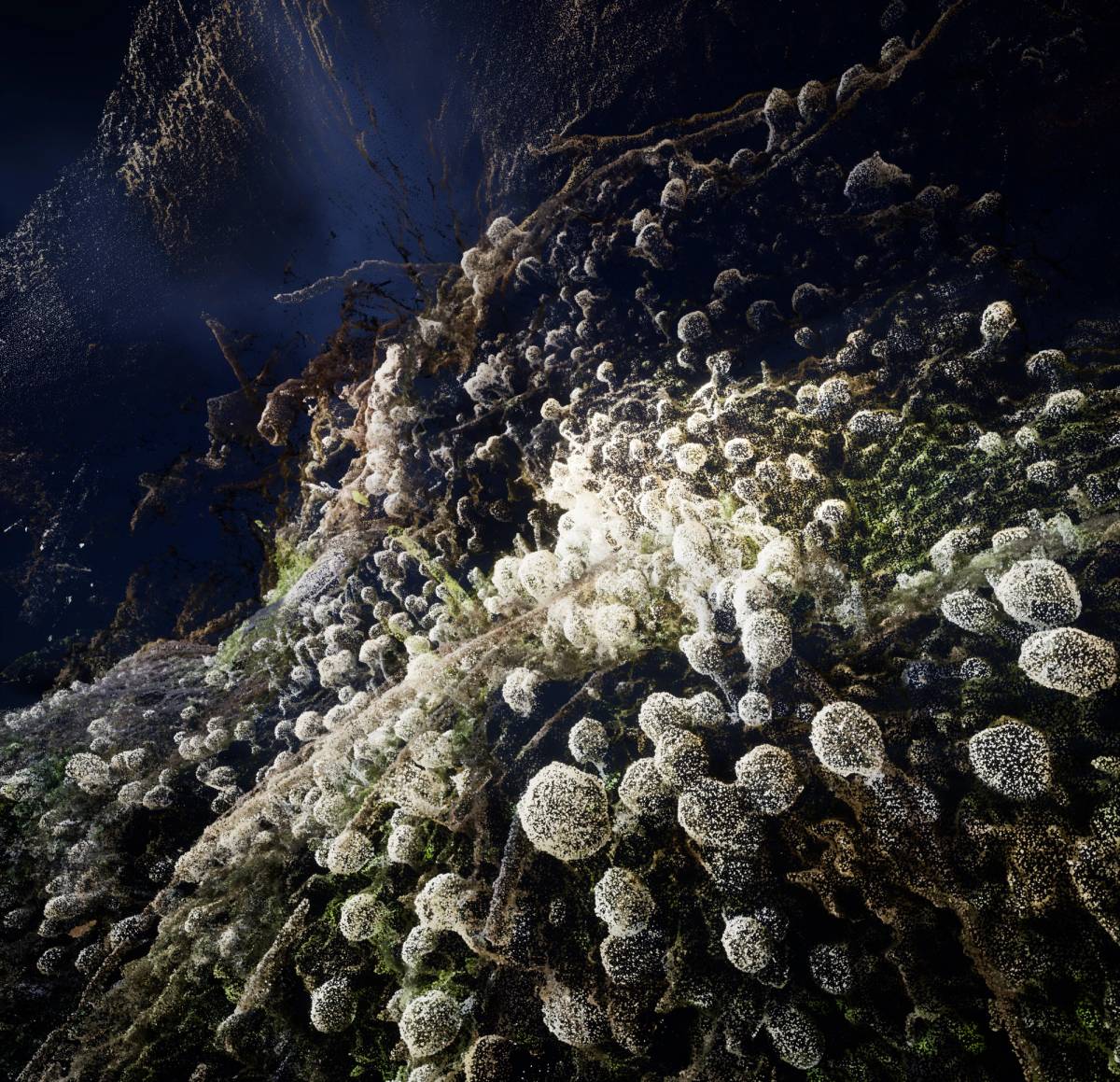 Berl-Berl | LAS Art Foundation