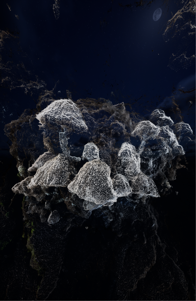 Berl-Berl | LAS Art Foundation