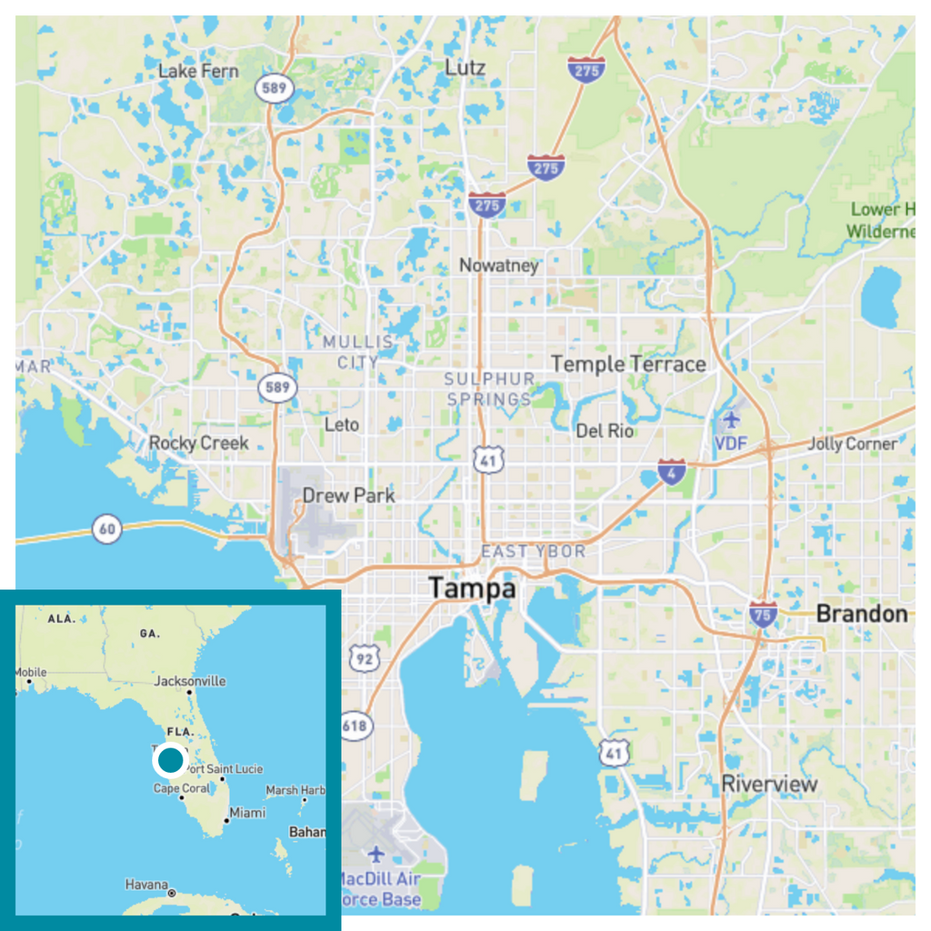 Tampa, Florida Climate Change Risks and Hazards: Heat, Precipitation ...