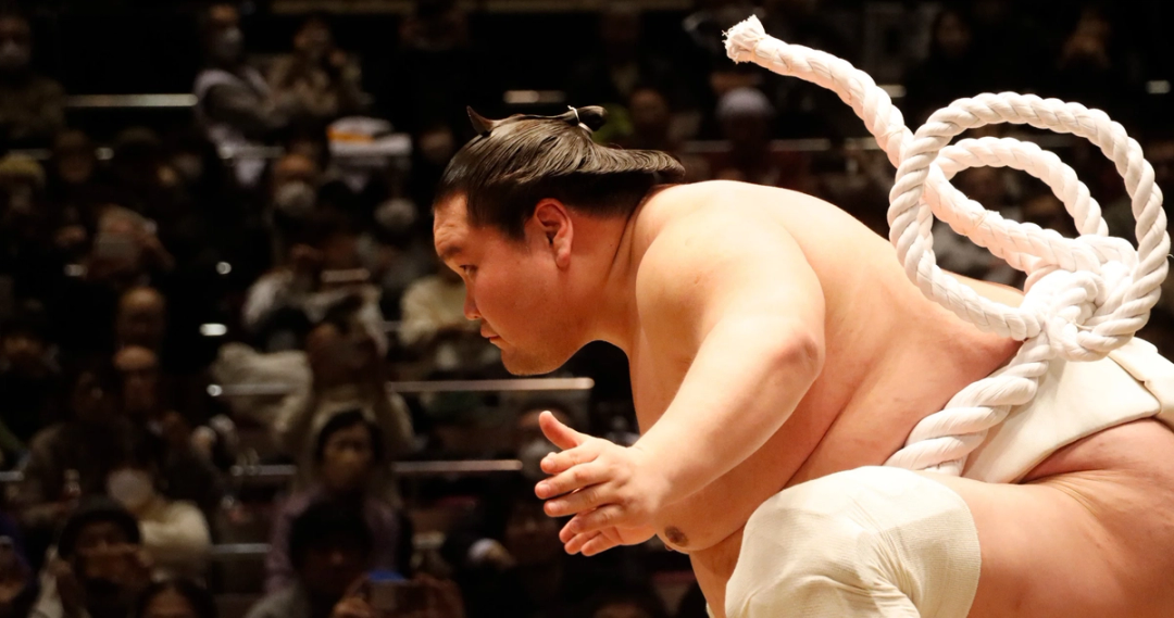 Askonas Holt and the Royal Albert Hall announce Grand Sumo Tournament ...