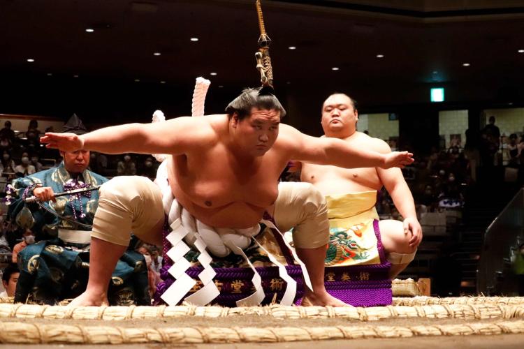 Askonas Holt and the Royal Albert Hall announce Grand Sumo Tournament ...