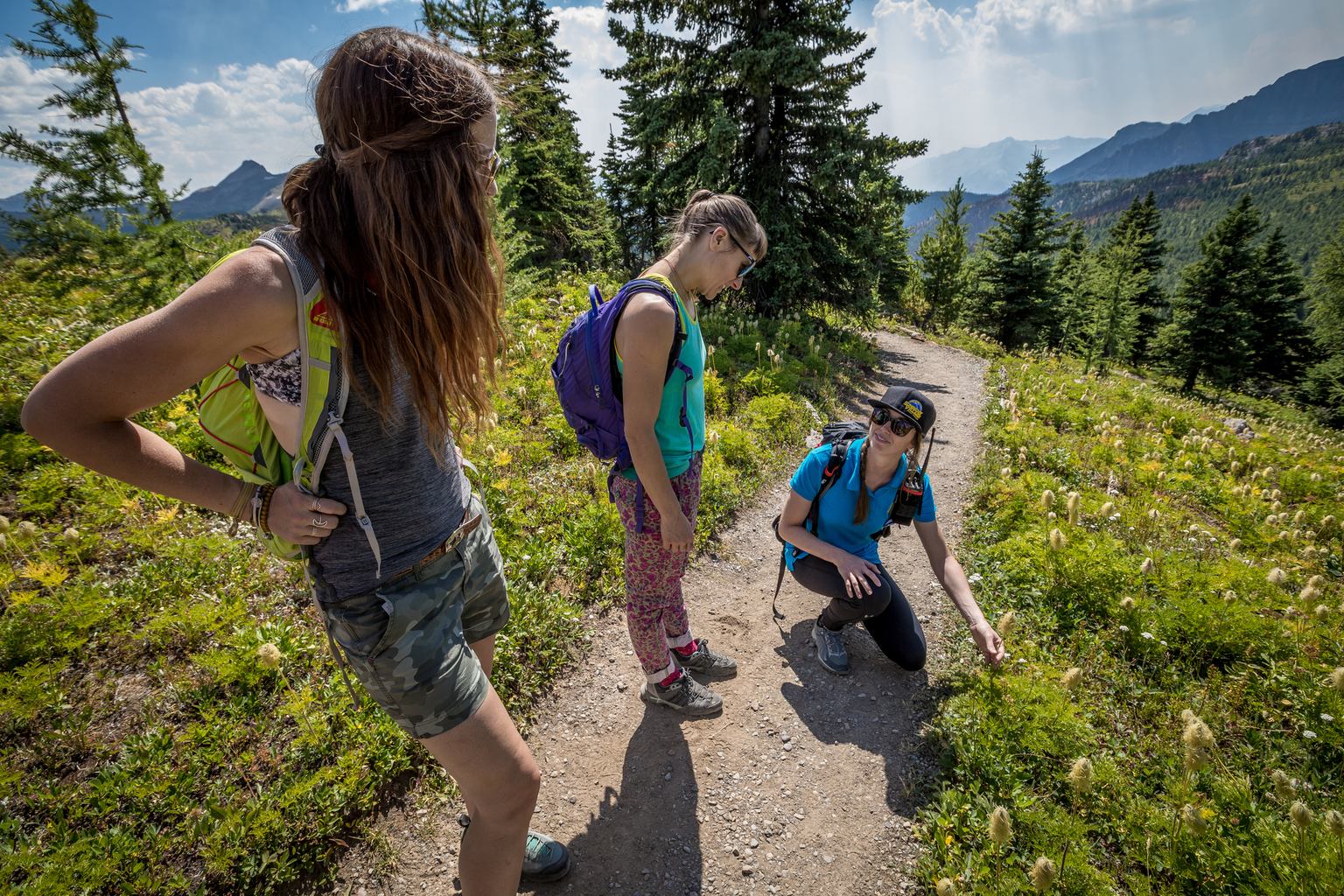 A First-Timer's Guide to Hiking in the Canadian Rockies | Canada's Alberta
