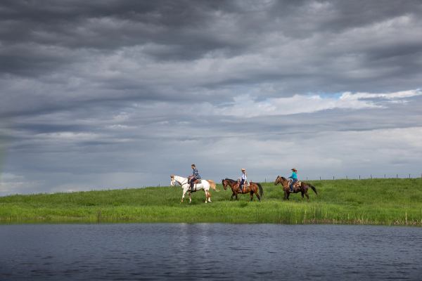 Visit Five of the Best Beaches in Alberta | Canada's Alberta