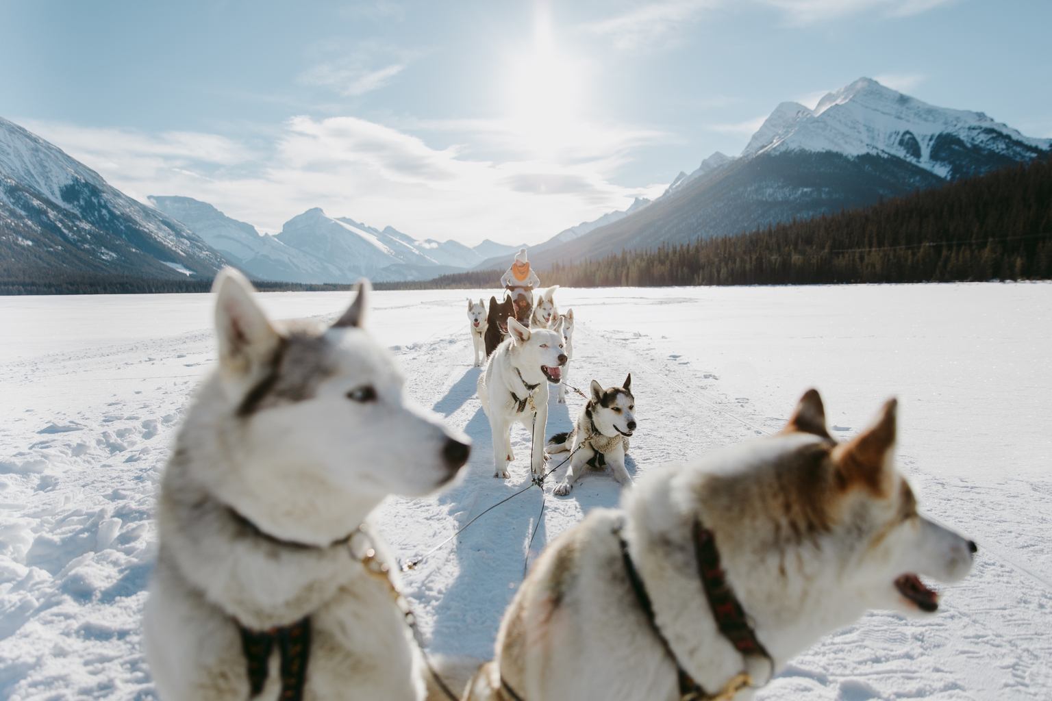 Ten Must-Do Things in Alberta This Winter | Alberta Canada