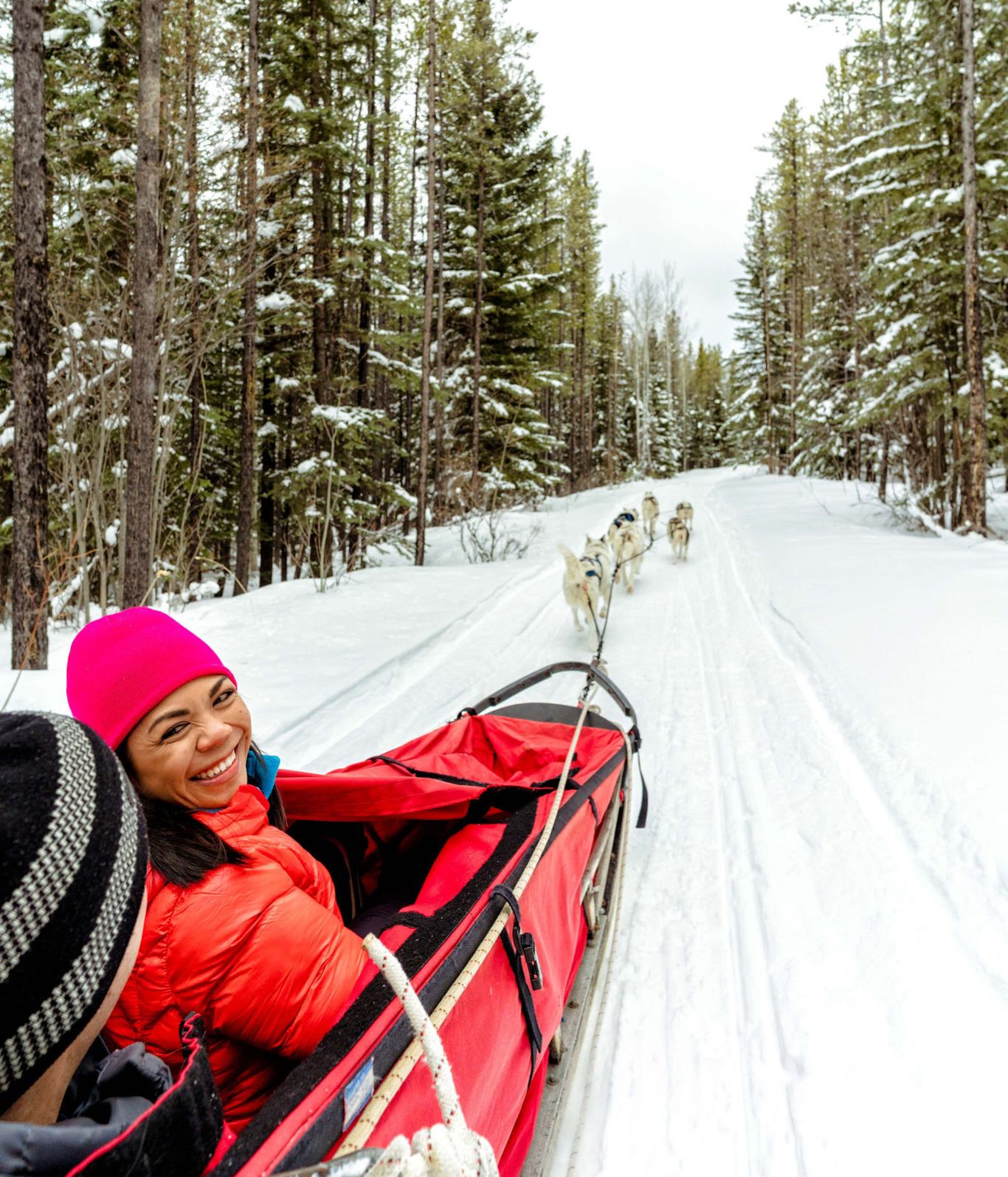 Dog Sledding | Canada's Alberta