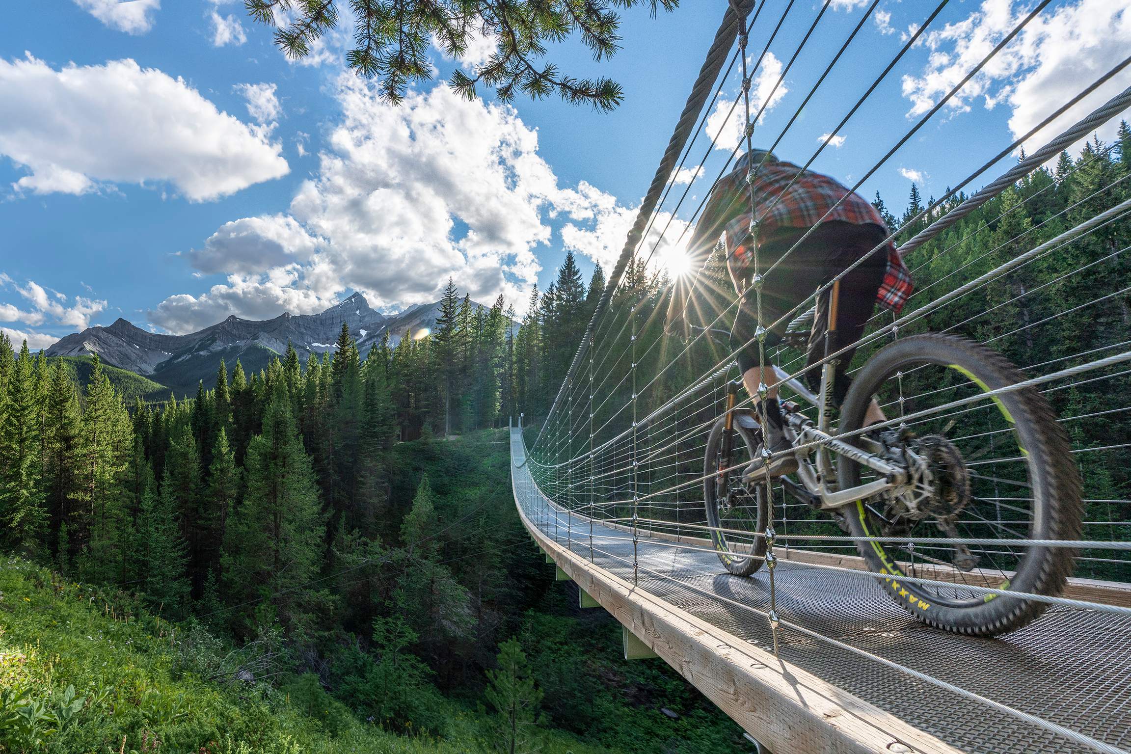 Best Mountain Biking Trails & Bike Parks in Alberta | Canada's Alberta