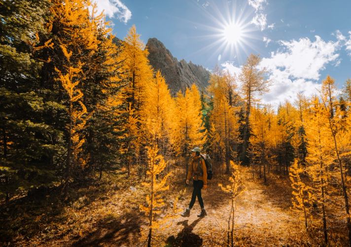 Ghostly Getaways! Exploring Alberta’s Most Haunting Places | Canada's ...