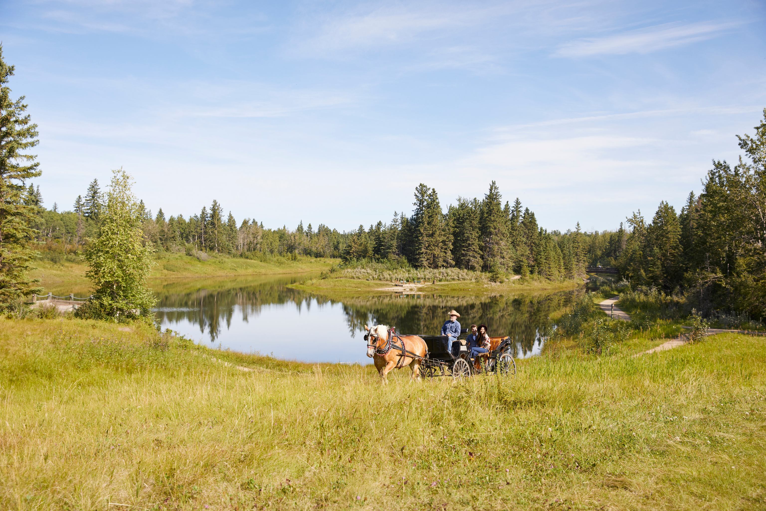 Saddle Up for Adventure at Alberta's Most Authentic Ranch Experiences ...