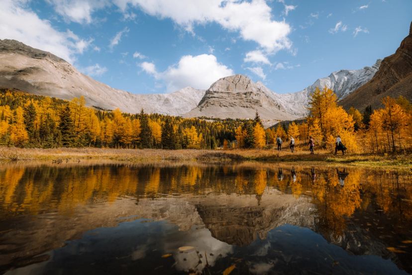 Fall Experiences | Alberta Canada