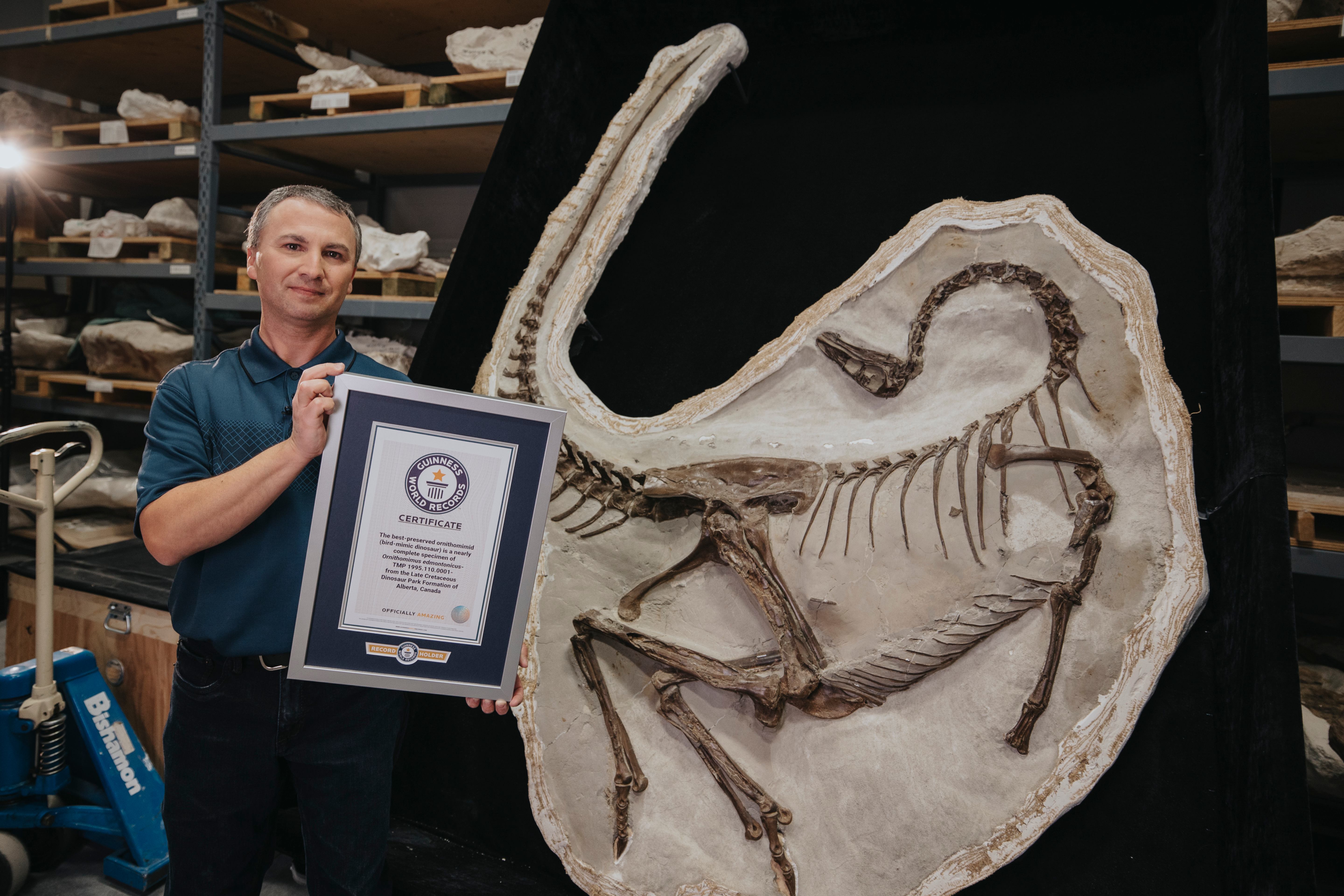 5 Guinness World Record Dinosaur Fossils in Alberta | Canada's Alberta