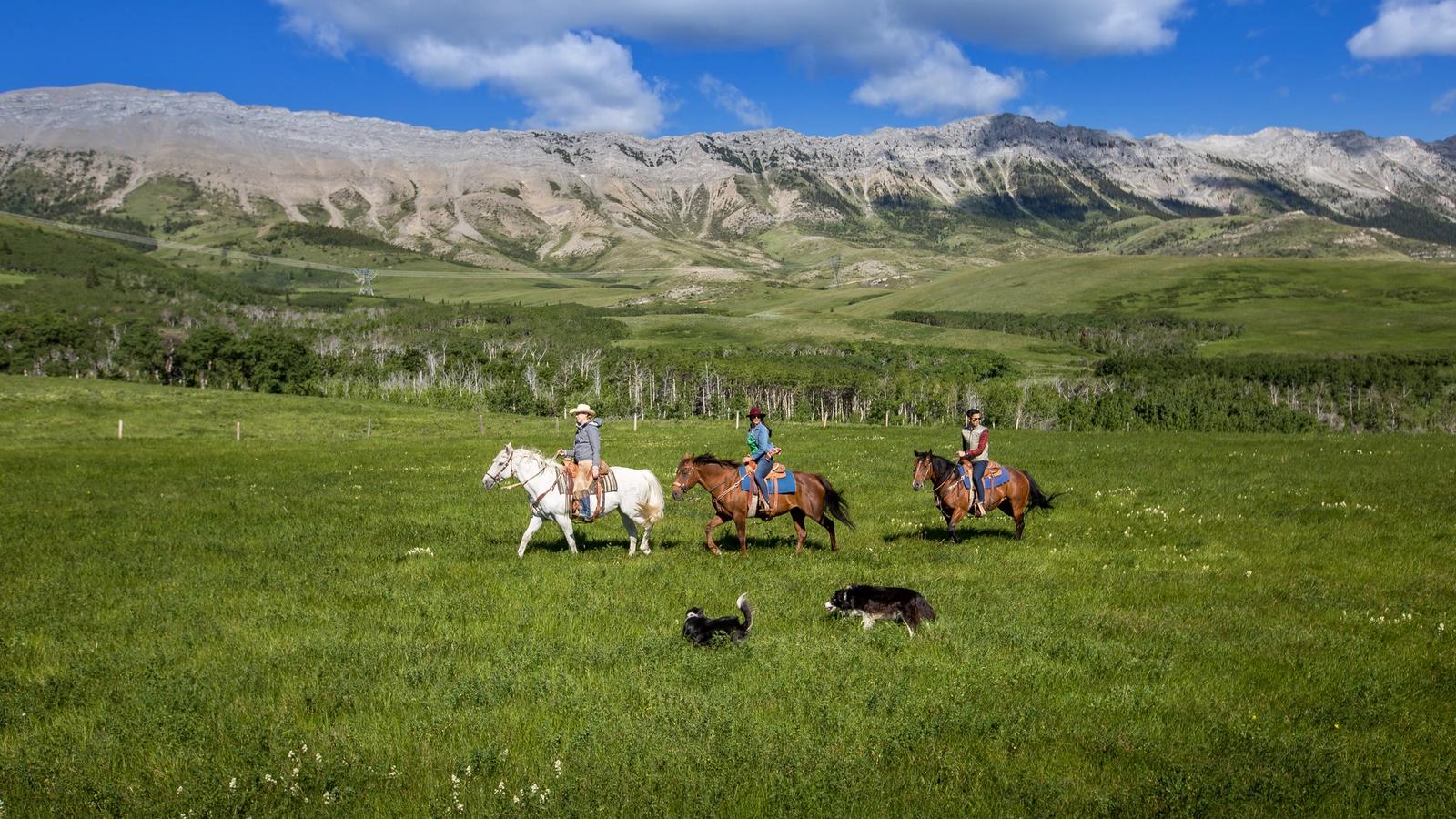 Six Places to Get Back to the Old West in Alberta’s Ranch Country ...
