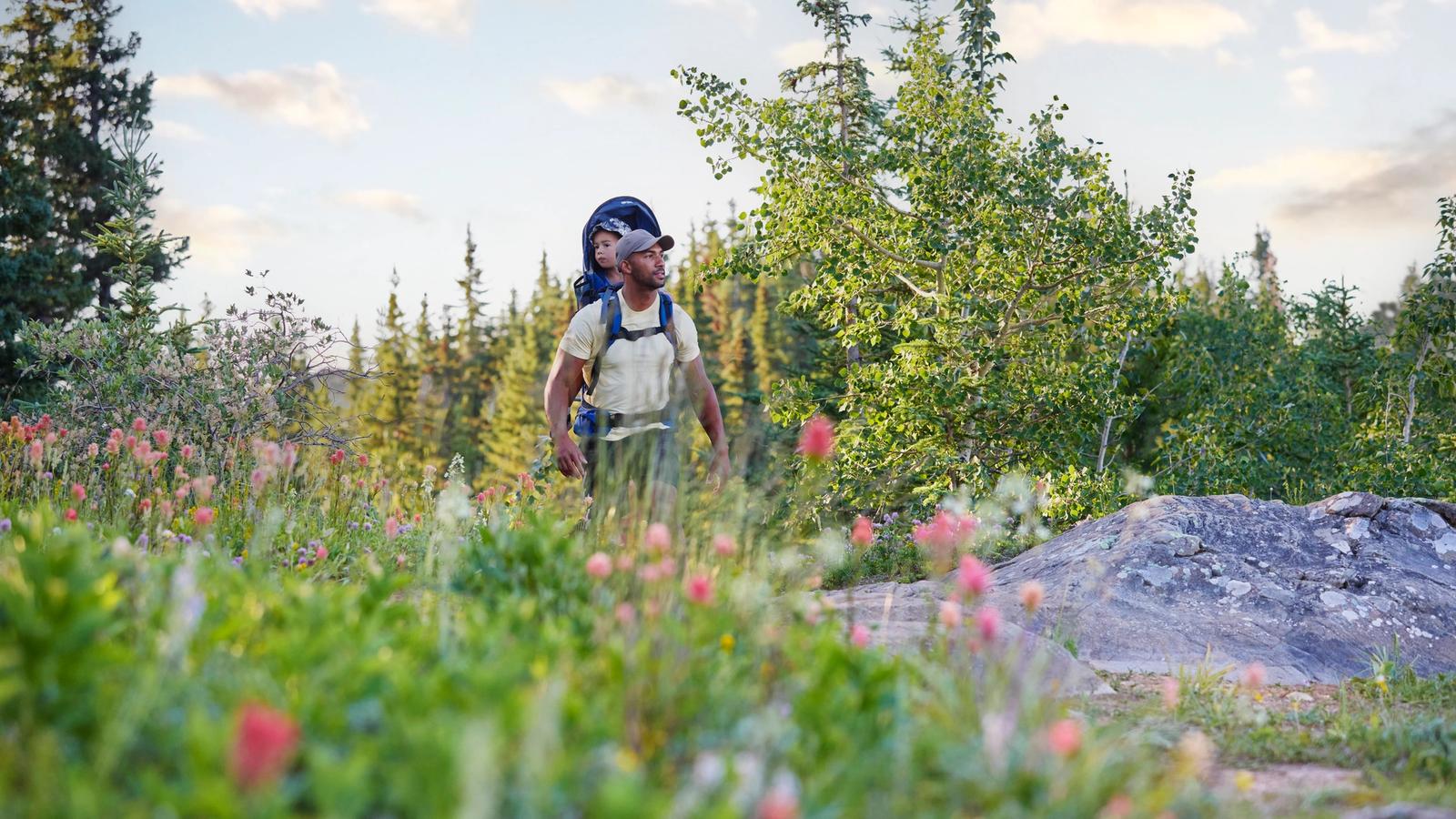 Experience Alberta's Wildflower Season in Full Bloom | Canada's Alberta