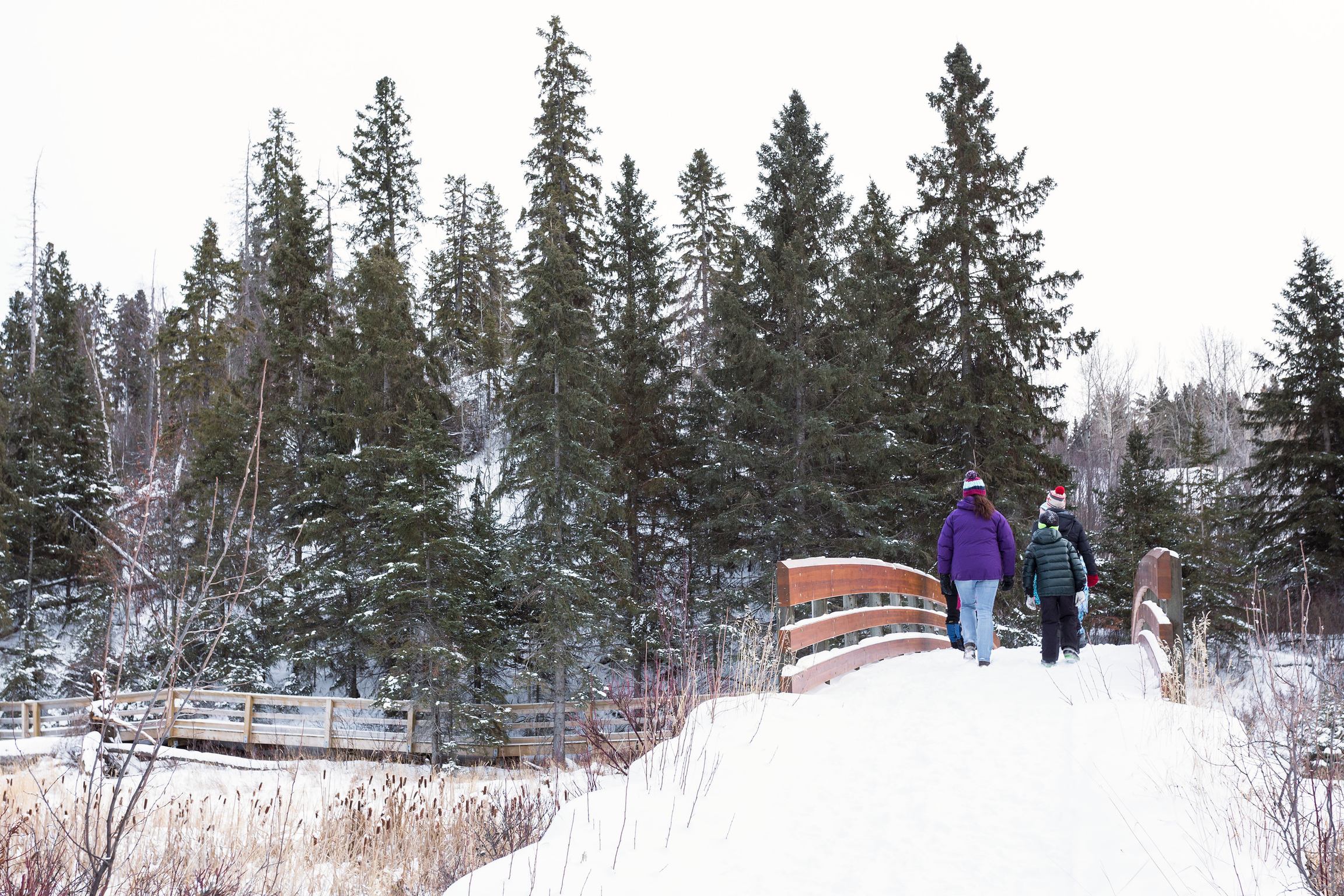 Red Deer | Canada's Alberta